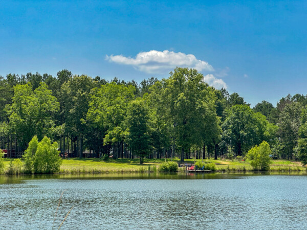 Beautiful Marion Junction Timber, Lake, Camp and Hunting Tract in ...
