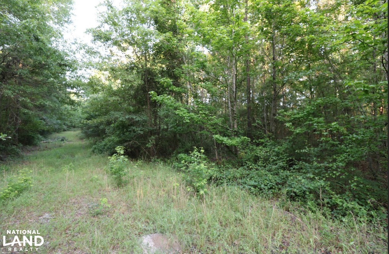 Subdivision at Kings Mill Road Lot 1 in Jefferson County, Georgia (24 ...