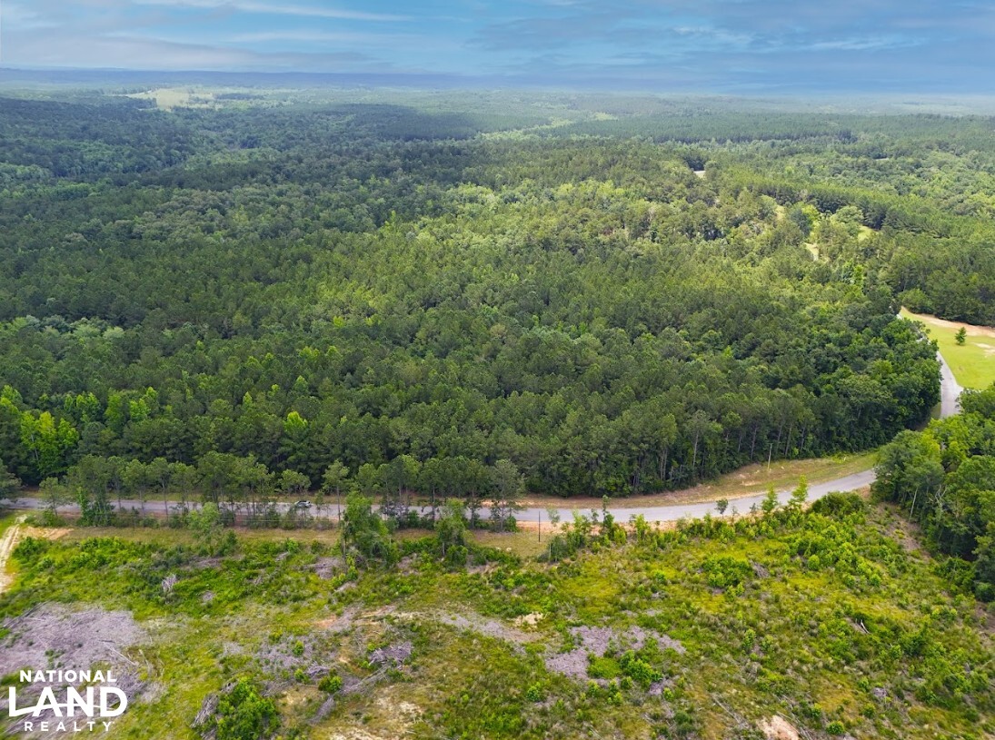 Elba Vacant Land in Coffee County, Alabama (16 Photos) | National Land ...