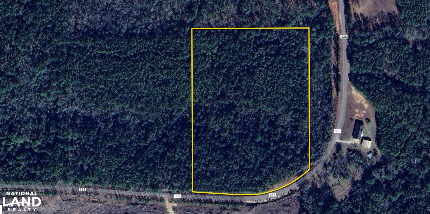 Elba Vacant Land in Coffee County, Alabama (16 Photos) | National Land ...