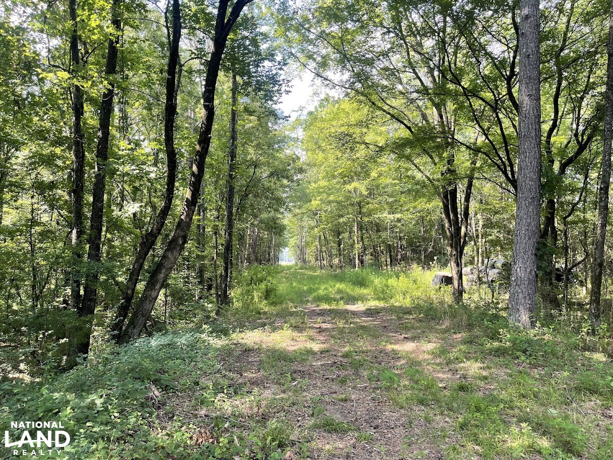 60± Acres with 42-Acre Private Lake in Webster County, Mississippi (26 ...