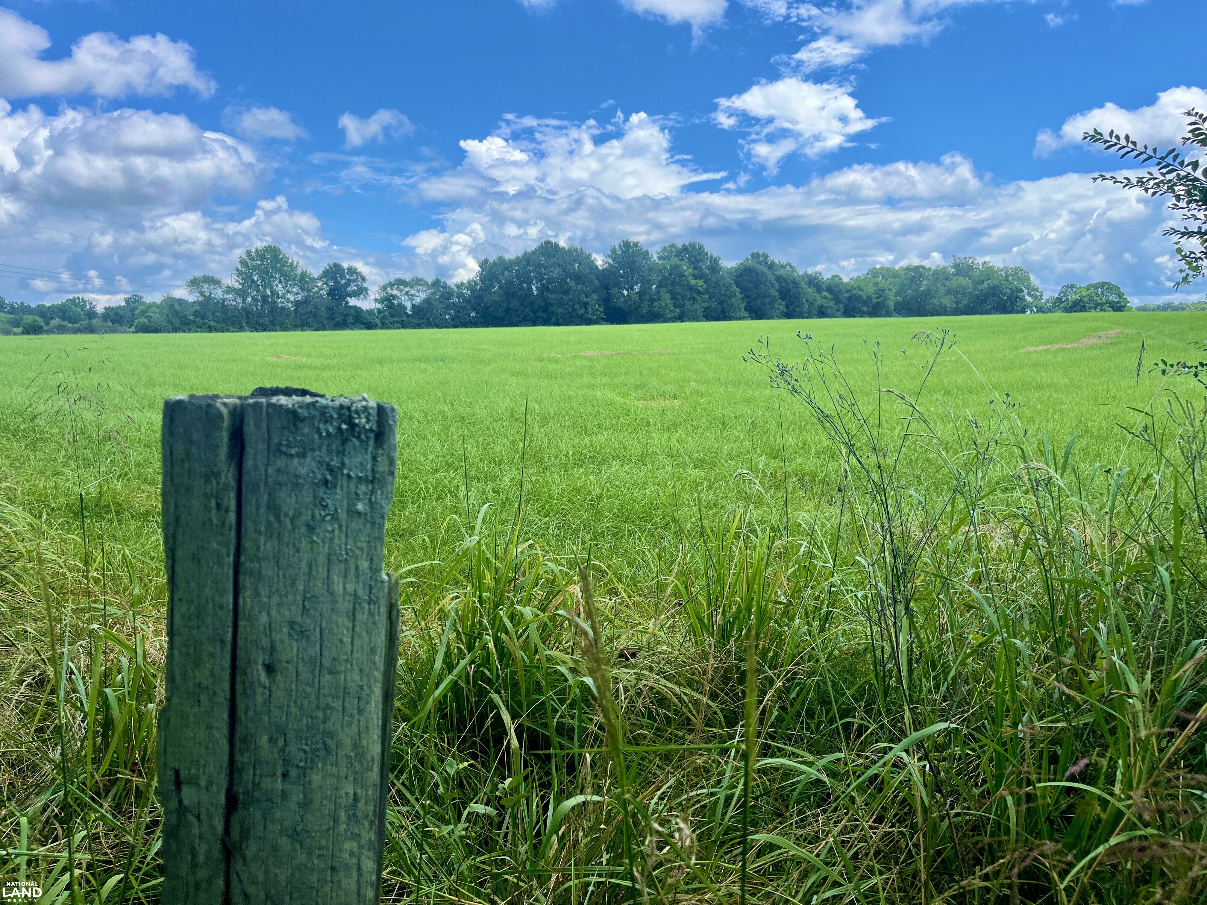Glaze Ferry Farm in Shelby County, Alabama (22 Photos) | National Land ...
