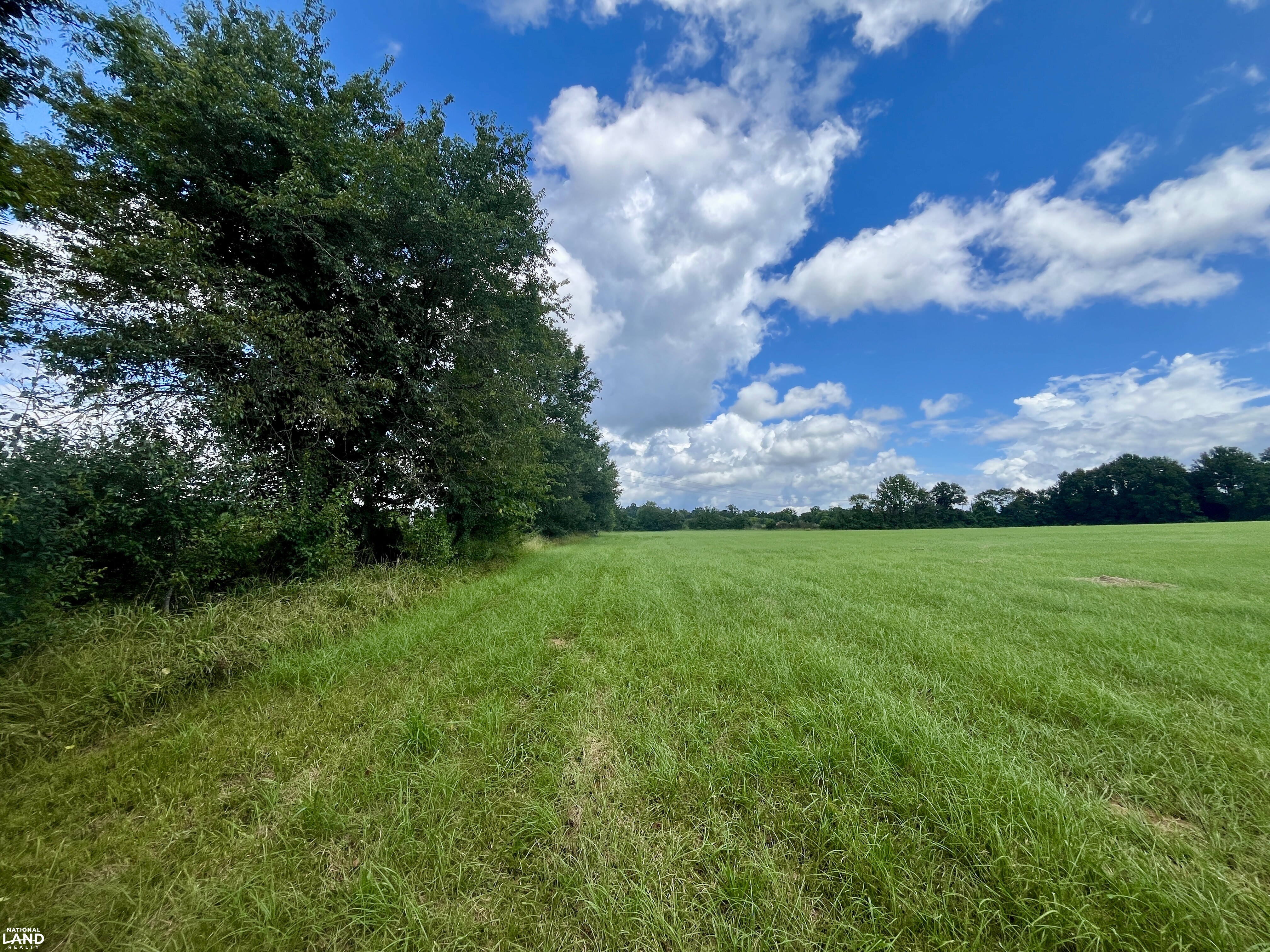 Glaze Ferry Farm in Shelby County, Alabama (22 Photos) | National Land ...