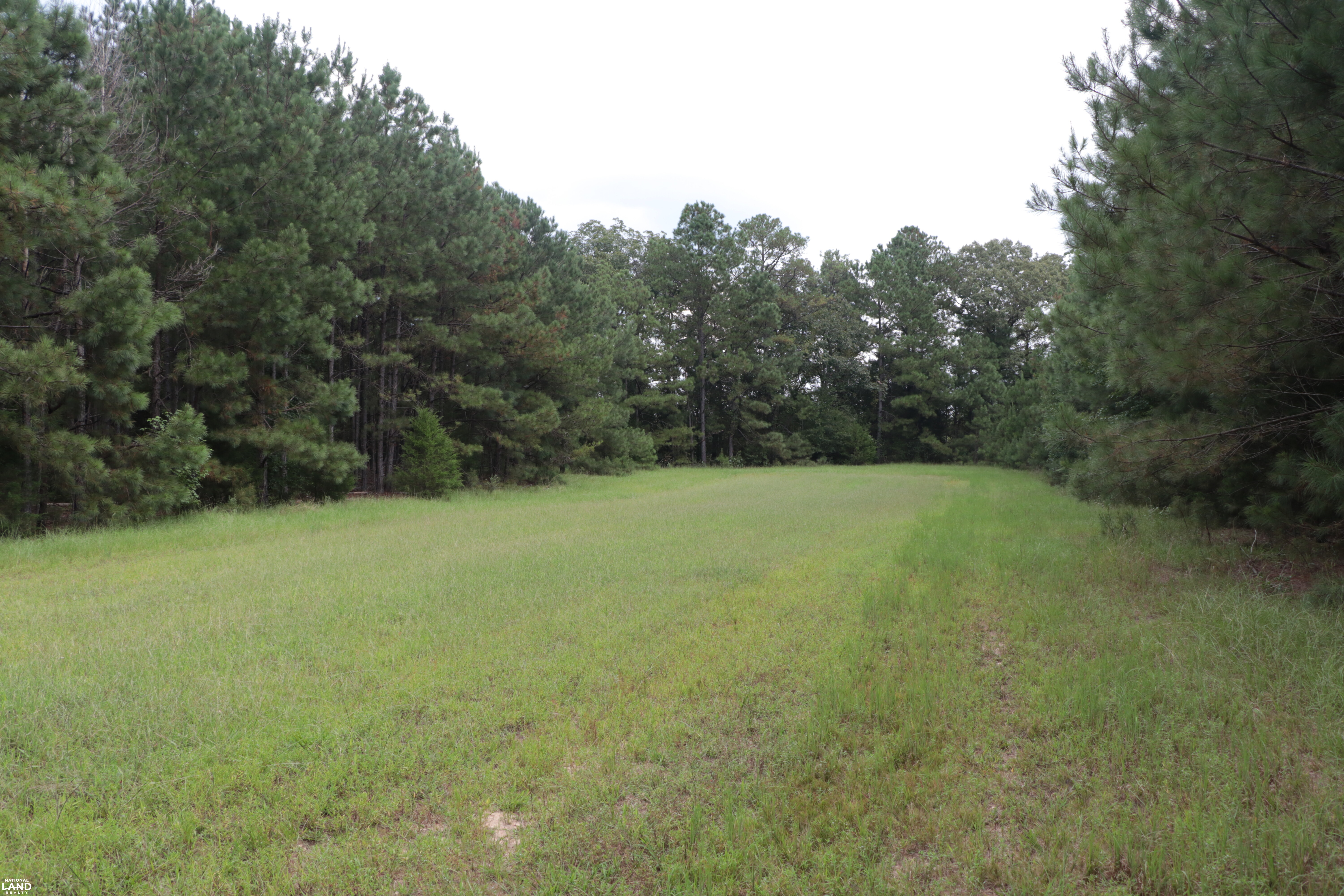 Perdue Hunting Tract in Chilton County, Alabama (11 Photos) | National ...