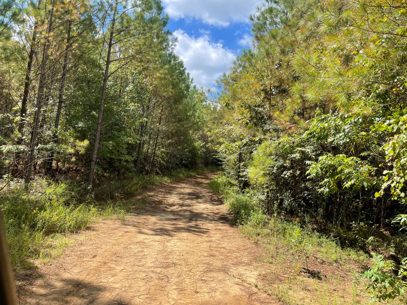 0 Carver Point Rd, Coffeeville, MS 38922 (Off Market NYStateMLS Listing ...