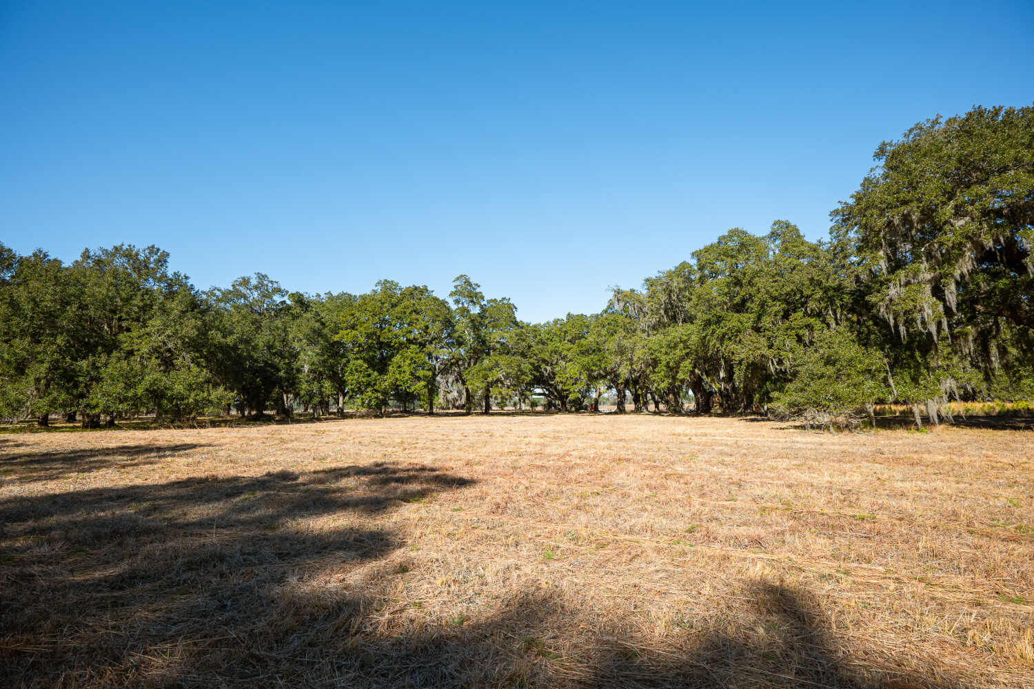 Historic Mauricena Plantation – Georgetown Waterfront Lot 4 in ...