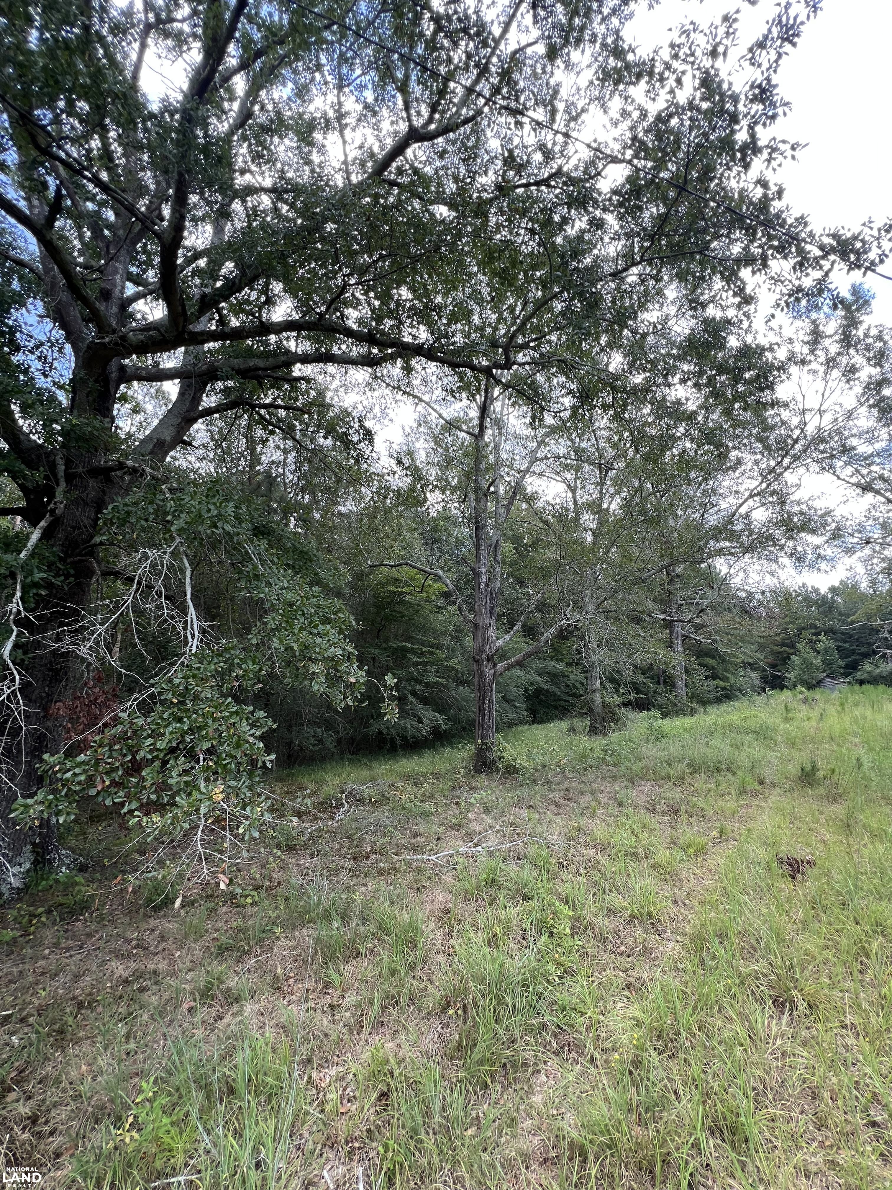 Great Recreational Tract Near Gordo in Pickens County, Alabama (49 ...