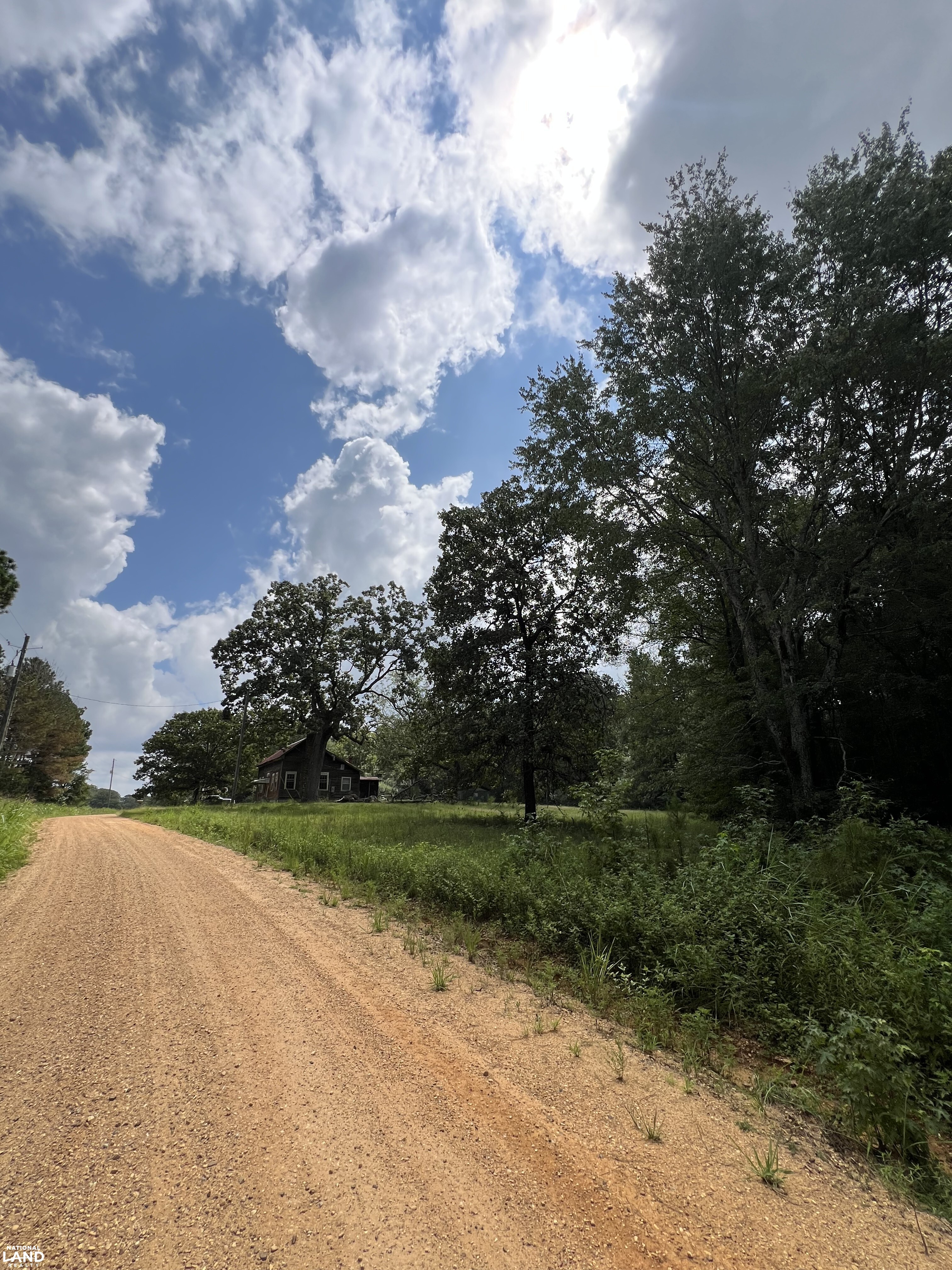 Great Recreational Tract Near Gordo in Pickens County, Alabama (49 ...