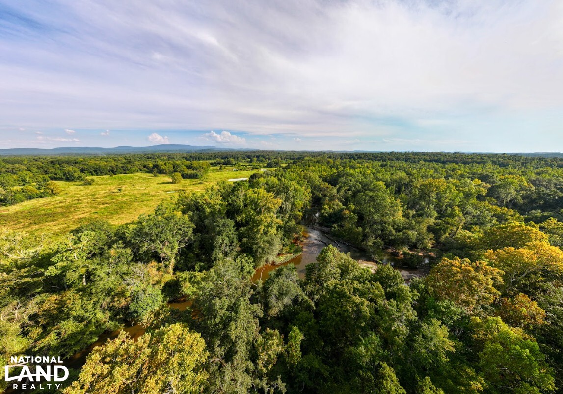 Munford Rec Tract in Talladega County, Alabama (13 Photos) | National ...