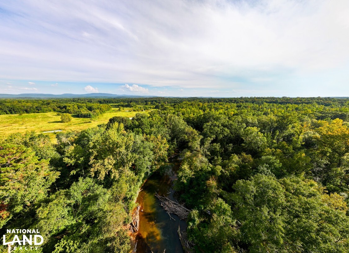 Munford Rec Tract in Talladega County, Alabama (13 Photos) | National ...