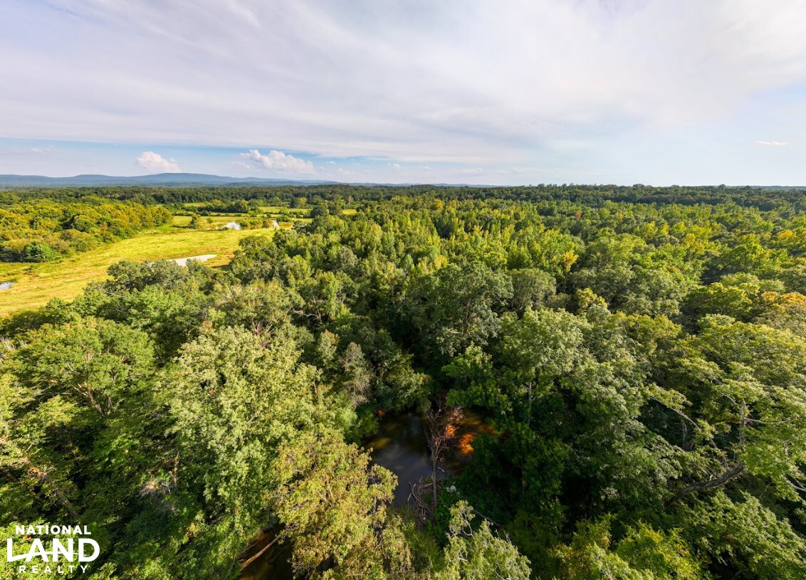 Munford Rec Tract in Talladega County, Alabama (13 Photos) | National ...