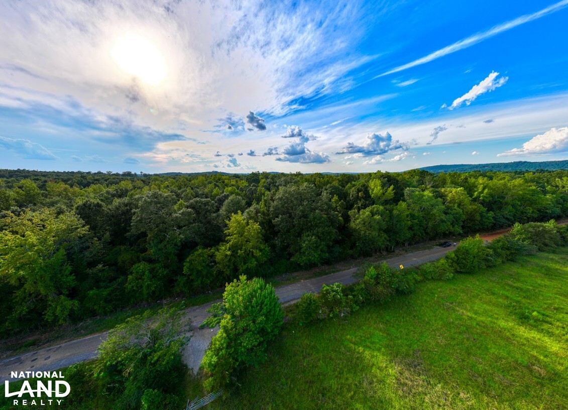 Munford Rec Tract in Talladega County, Alabama (13 Photos) | National ...