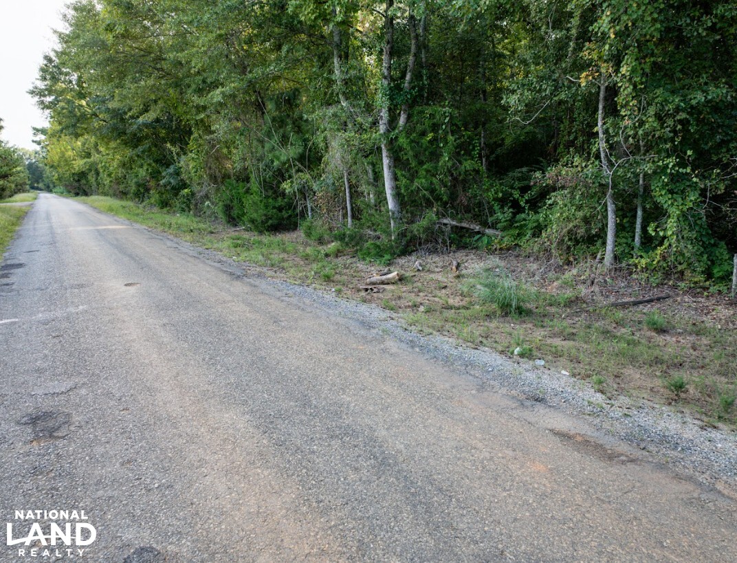 Munford Rec Tract in Talladega County, Alabama (13 Photos) | National ...