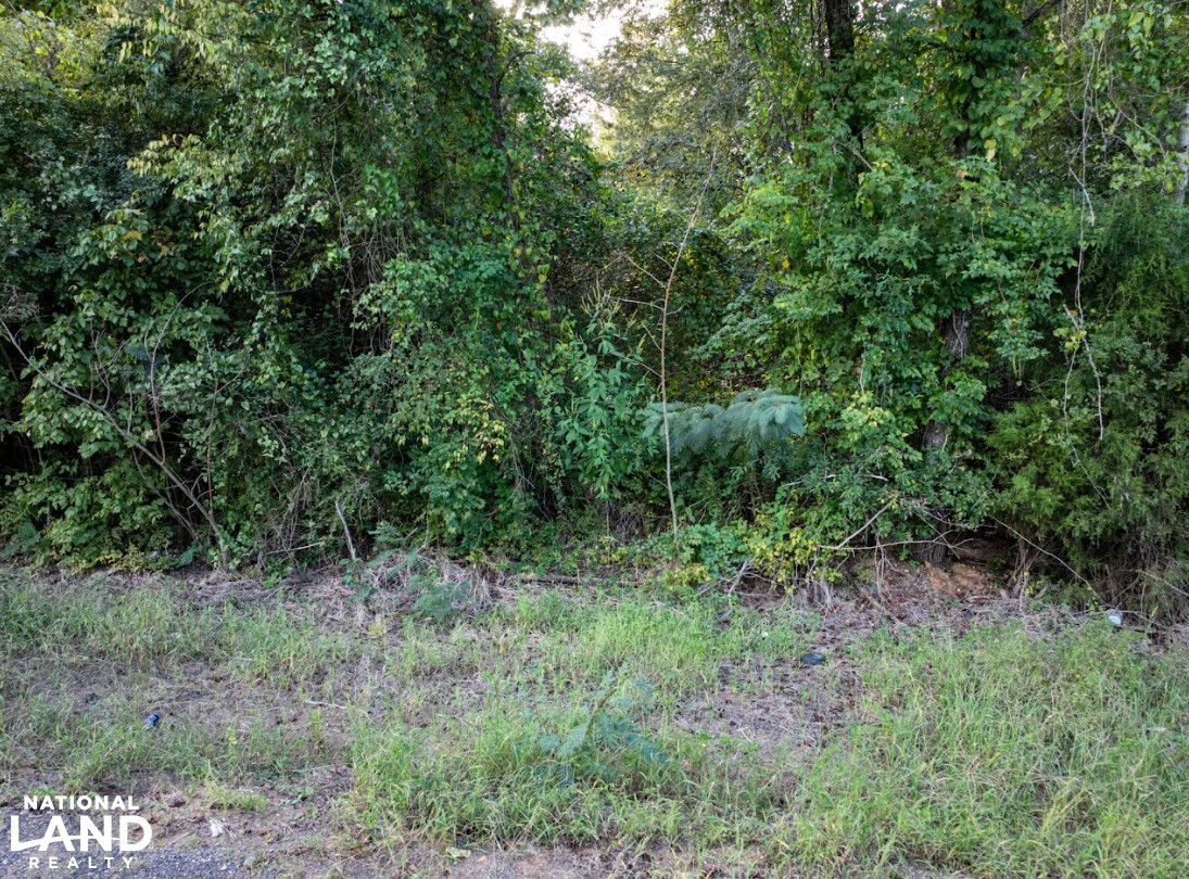 Munford Rec Tract in Talladega County, Alabama (13 Photos) | National ...