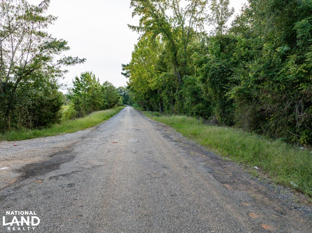 Munford Rec Tract in Talladega County, Alabama (13 Photos) | National ...