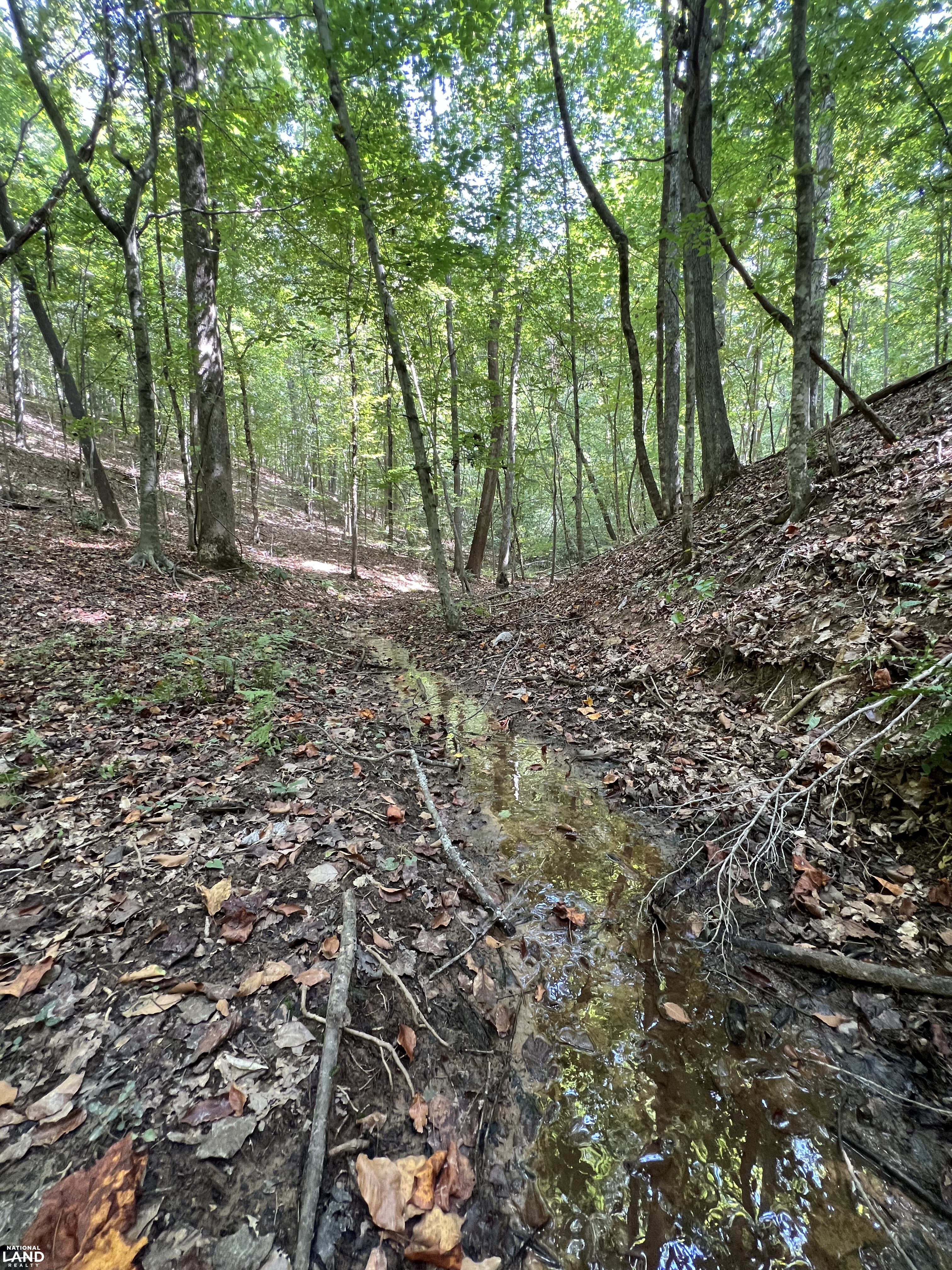 Recreational Property on Lake Judson Near Tuscaloosa in Tuscaloosa ...