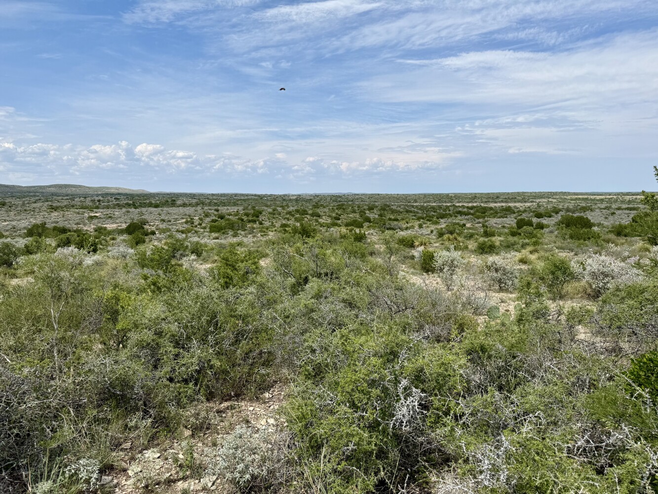 1605 Rattlesnake Gap Rd, Comstock, TX 78837 (For Sale NYStateMLS ...