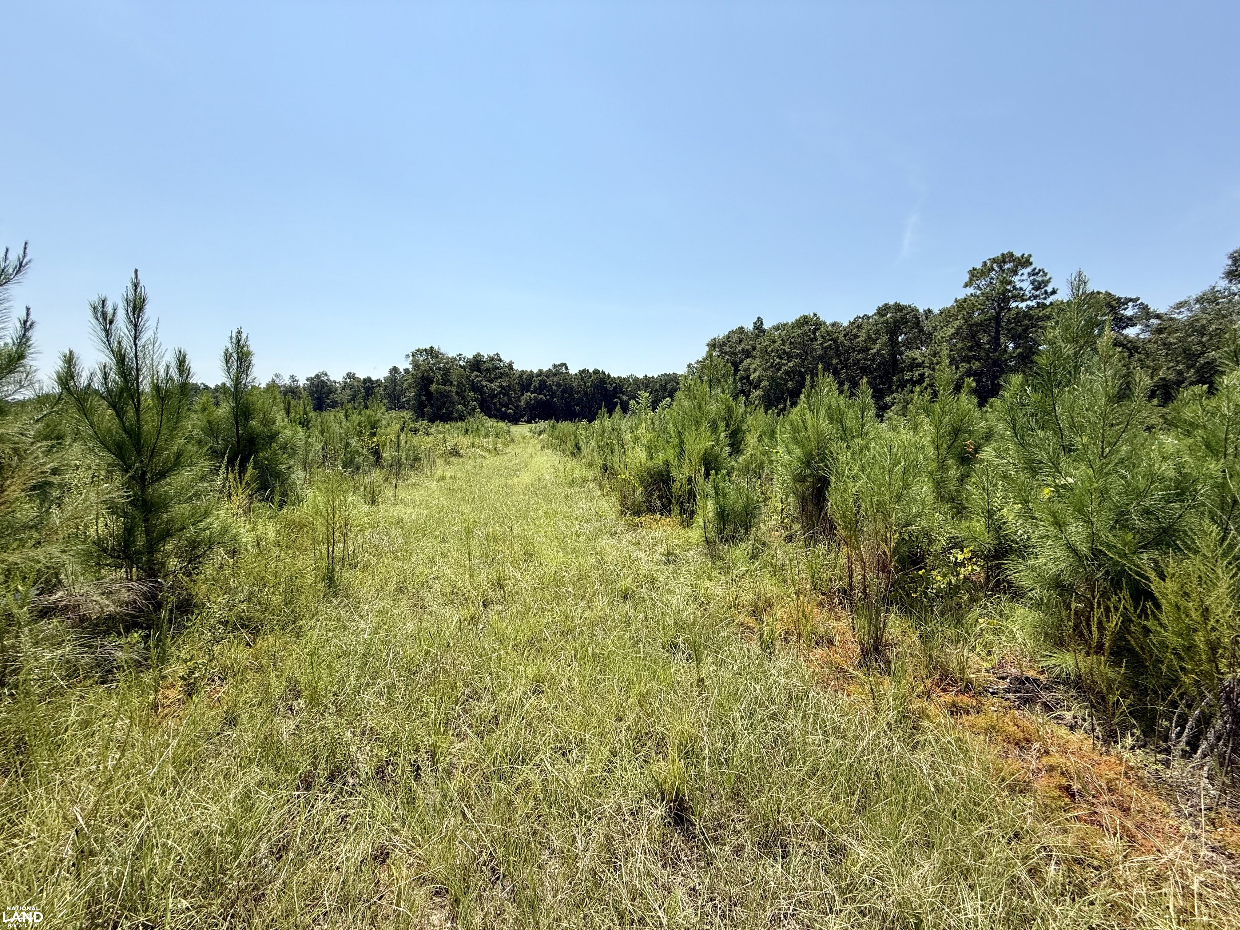 McIntosh Louella Road Homesite, Mini-Farm, Hunting & Recreational Tract ...