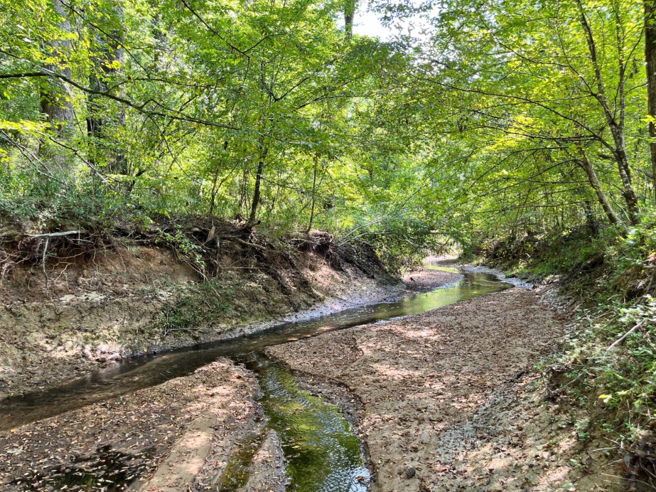 Land for Sale in McCormick County, South Carolina (24 Photos ...