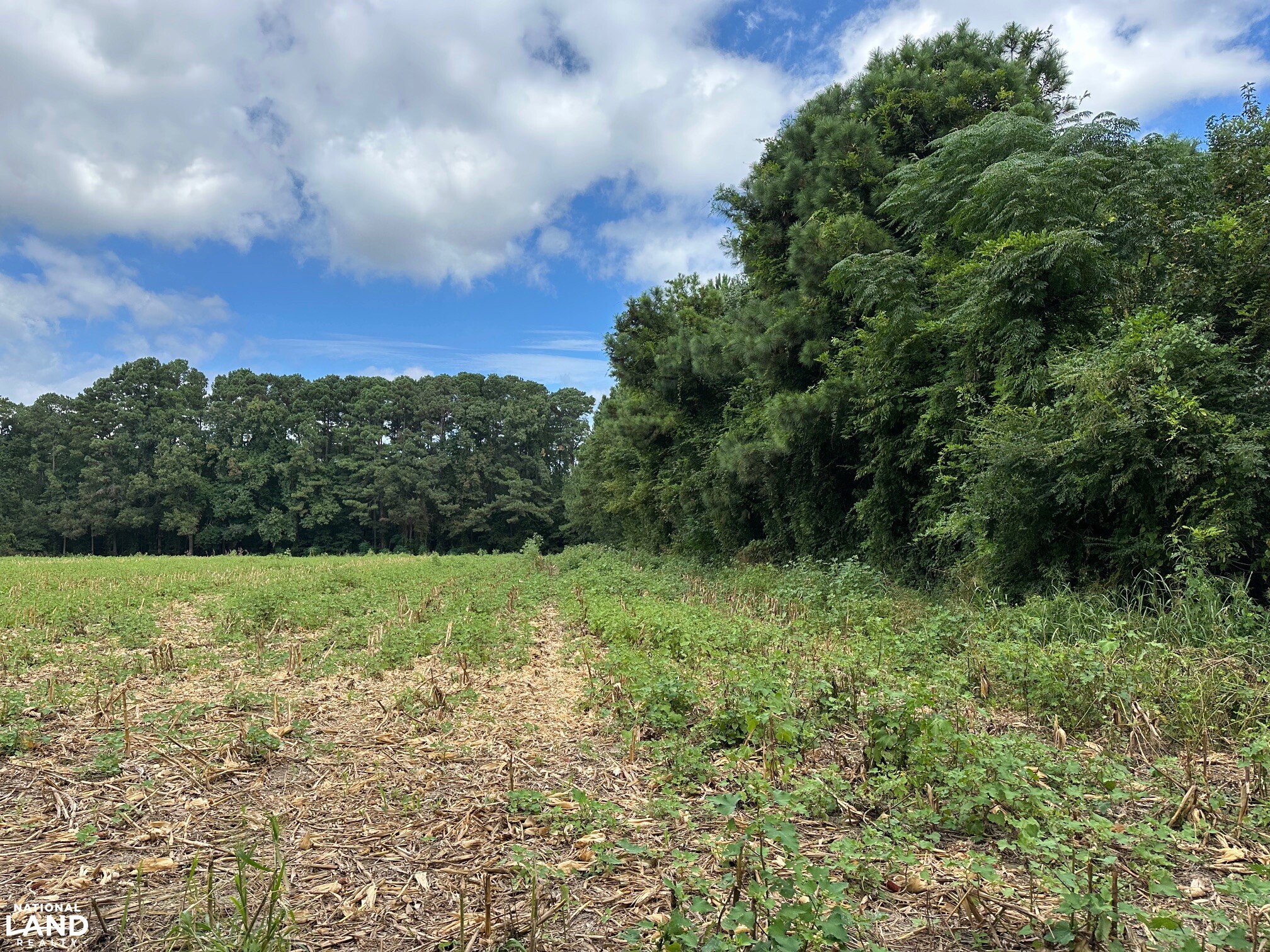 Raynham Farmland/Timber in Robeson County, North Carolina (9 Photos ...