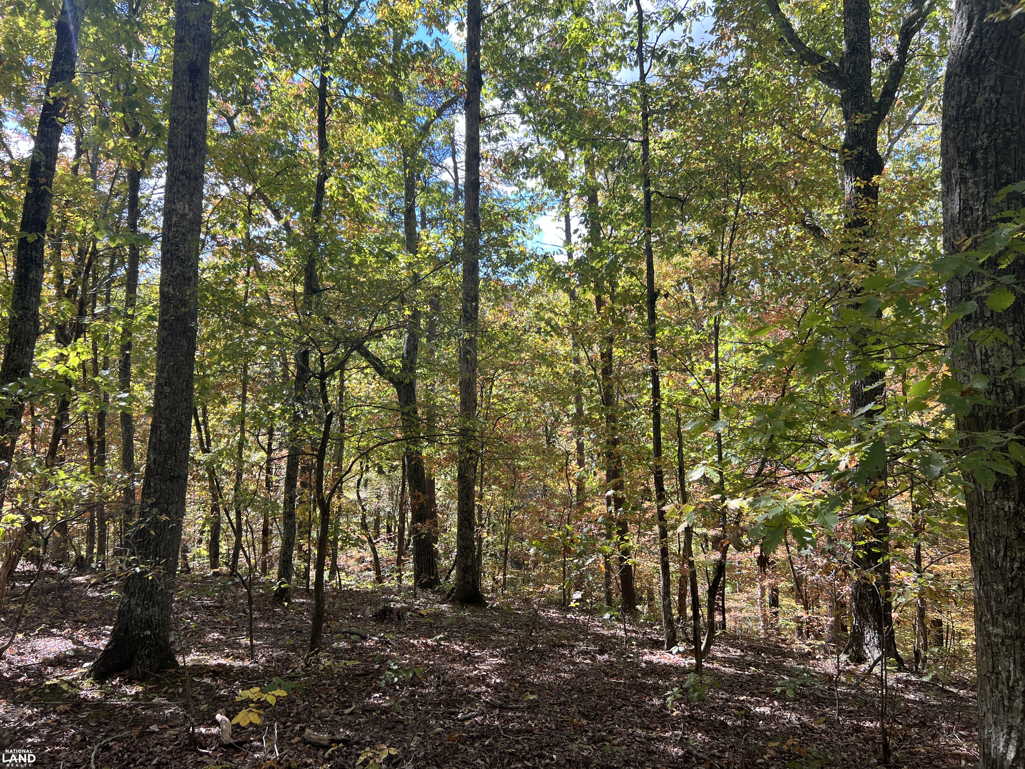 Douglas Lake View Retreat in Cocke County, Tennessee (21 Photos ...