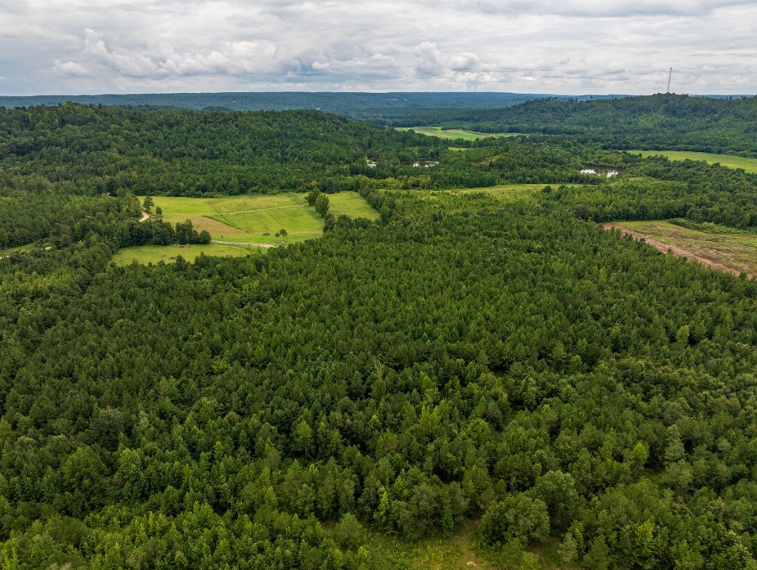 Hayden Valley Tract in Blount County, Alabama (24 Photos) | National ...