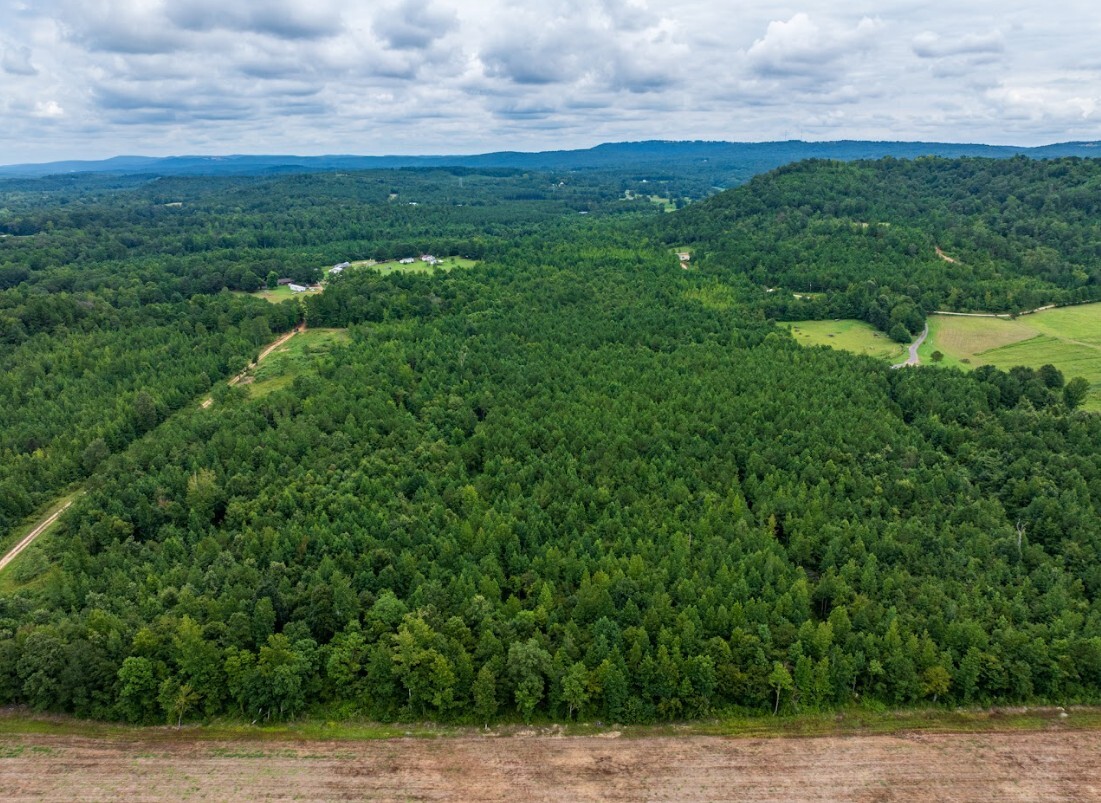 Hayden Valley Tract in Blount County, Alabama (24 Photos) | National ...