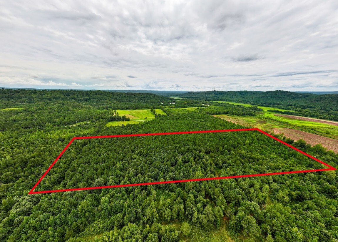 Hayden Valley Tract in Blount County, Alabama (24 Photos) | National ...