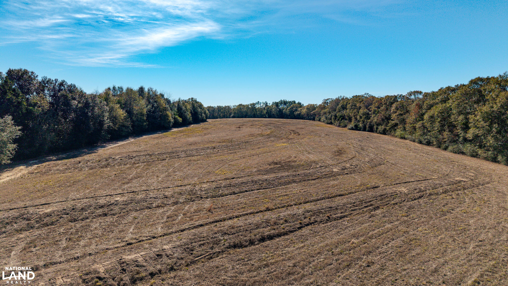 Samson Hunting At Its Best in Geneva County, Alabama (31 Photos ...