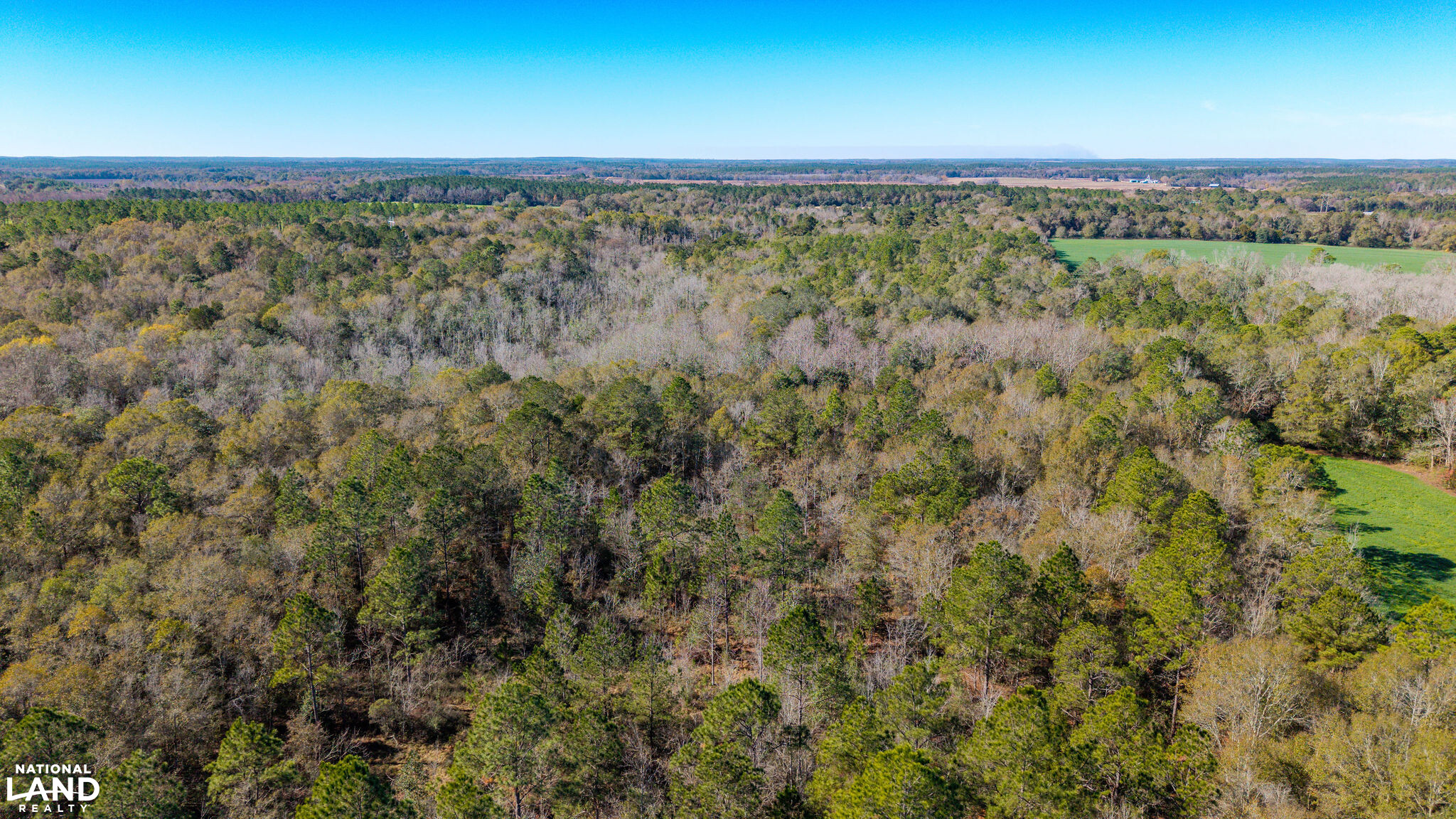 Samson Hunting At Its Best in Geneva County, Alabama (31 Photos ...