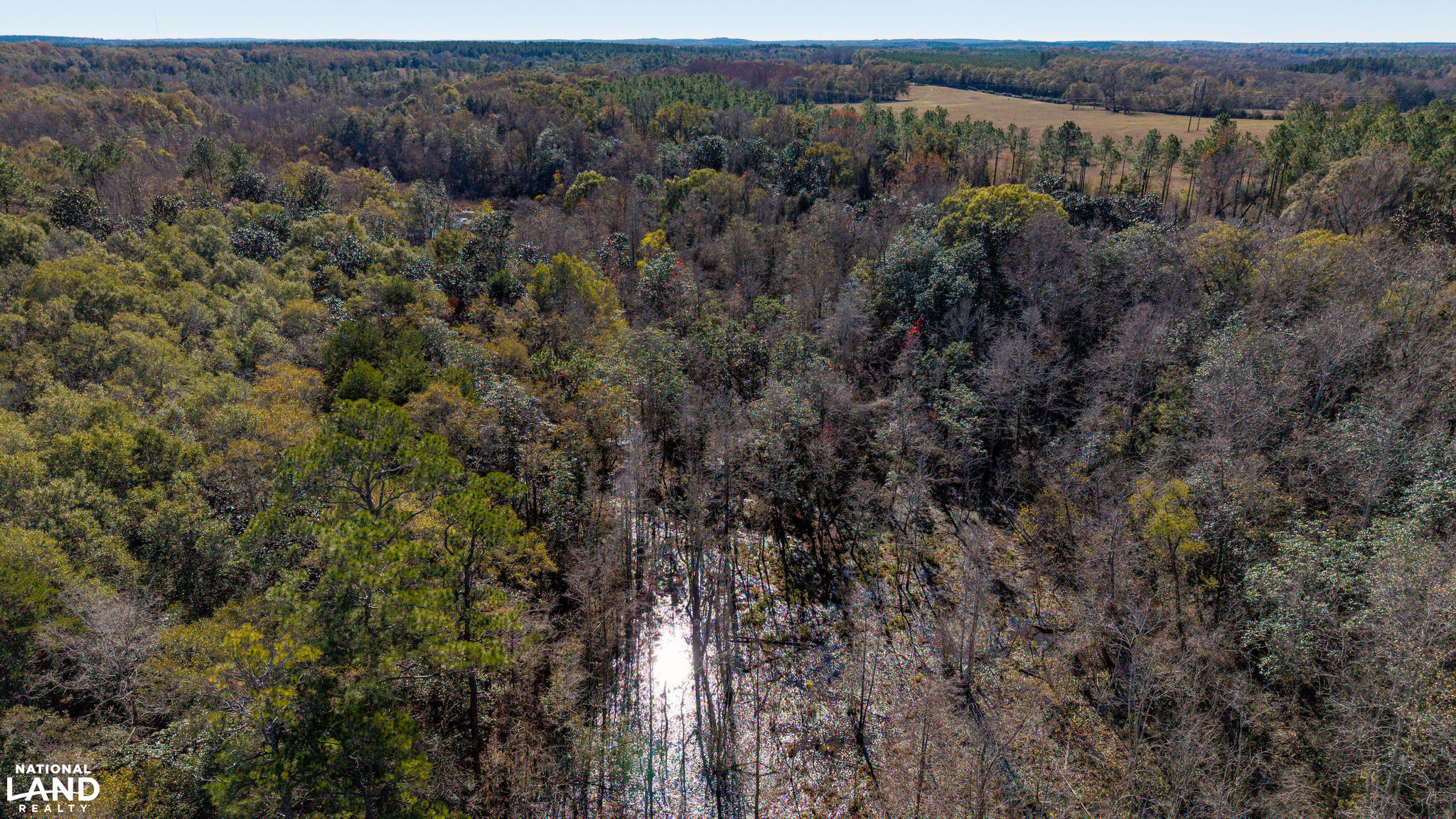 Samson Hunting At Its Best in Geneva County, Alabama (31 Photos ...