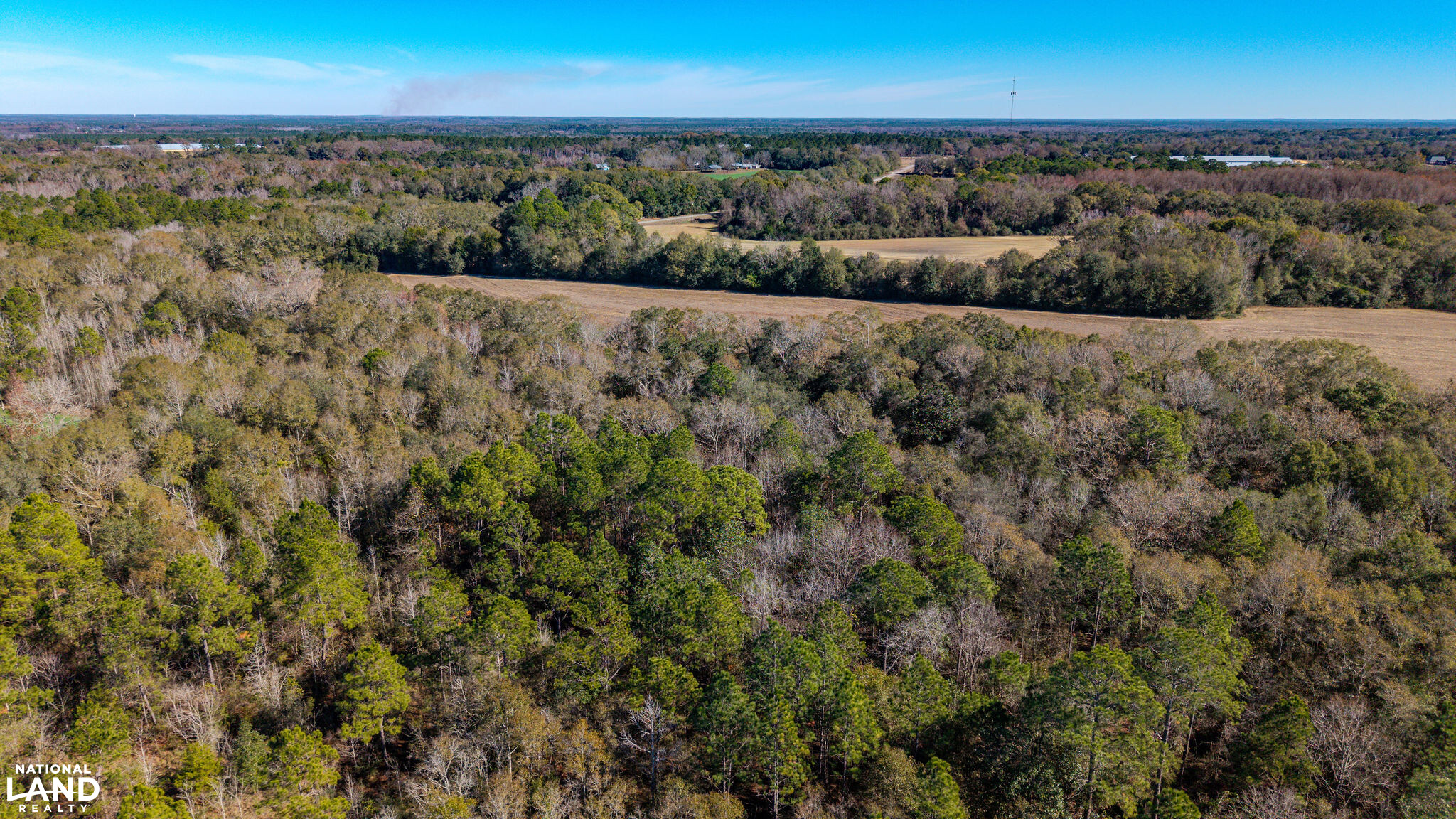 Samson Hunting At Its Best in Geneva County, Alabama (31 Photos ...
