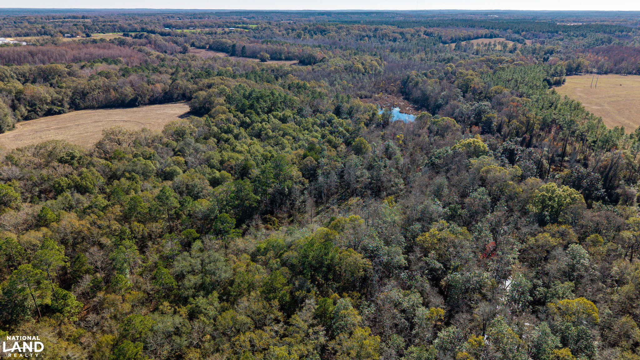 Samson Hunting At Its Best in Geneva County, Alabama (31 Photos ...
