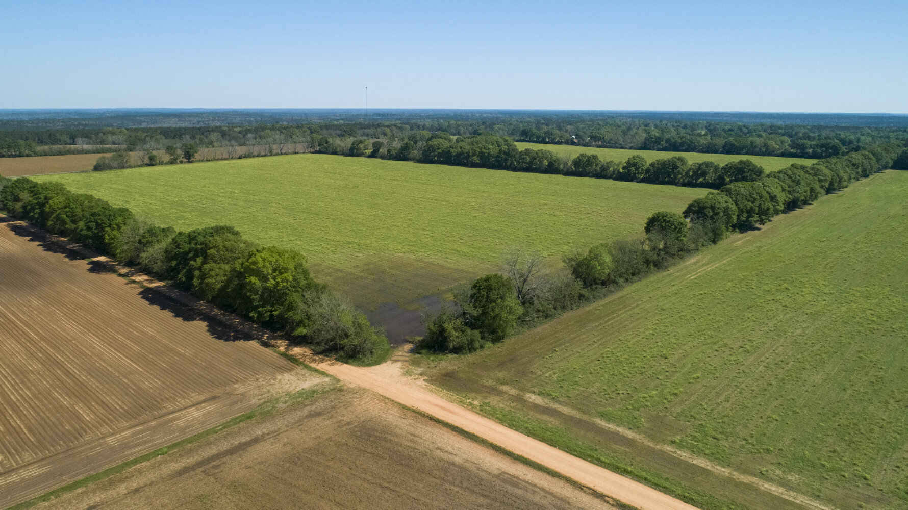 Excel Repton Row Crop Farm and Hunting Investment in Monroe County ...