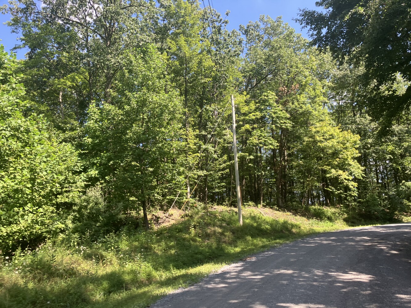 Top of the World - 22 Acres with Scenic Valley Views in Nicholas County ...