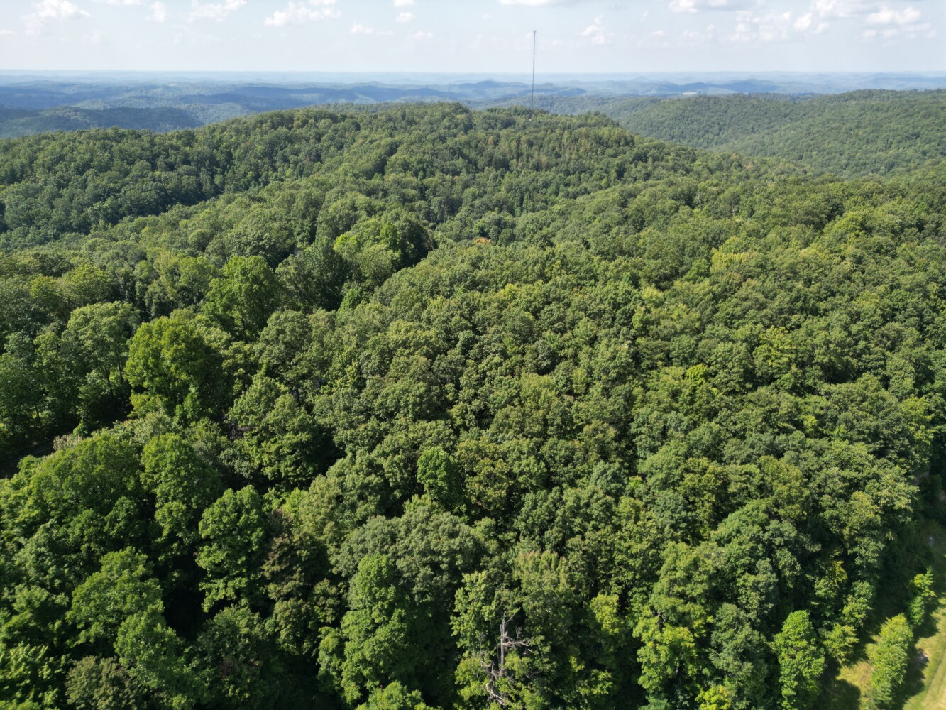 Top of the World - 22 Acres with Scenic Valley Views in Nicholas County ...