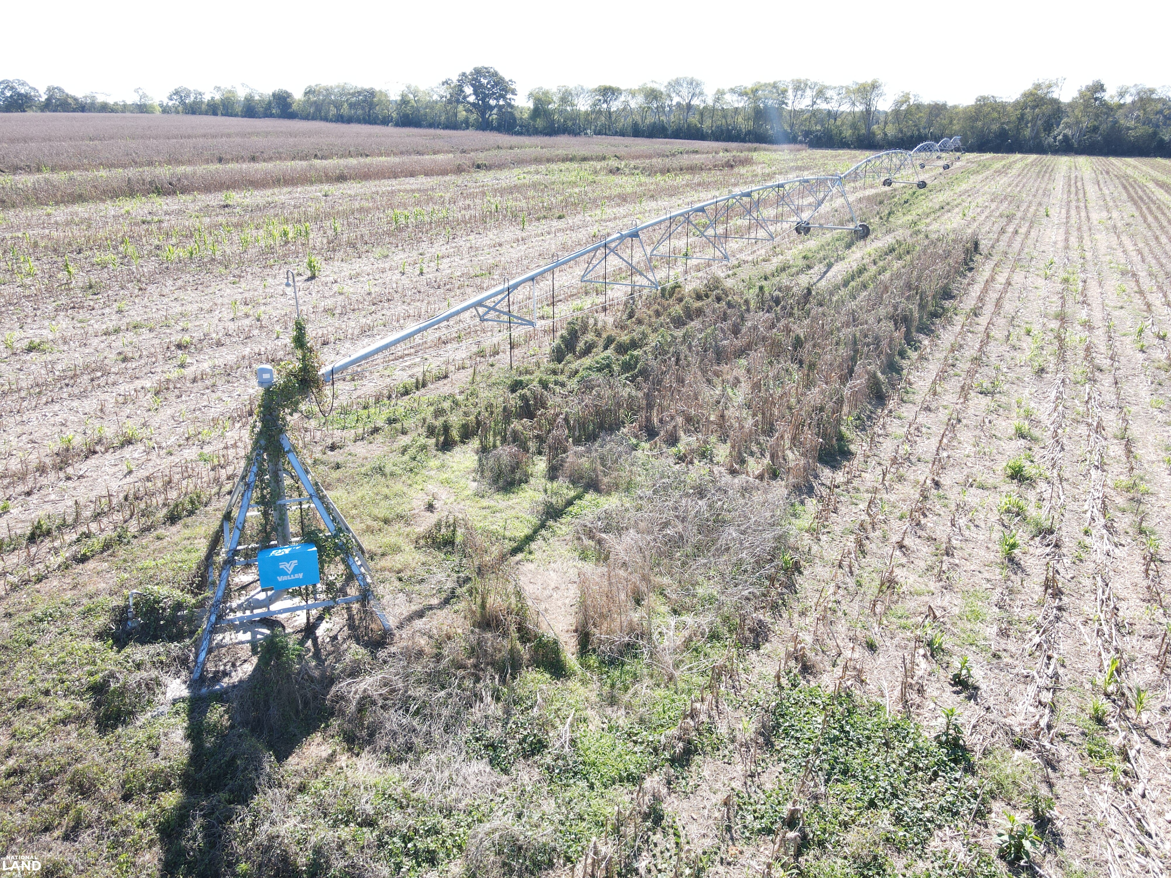 Kinsey Rd Irrigated Farm Site in Houston County, Alabama (33 Photos ...
