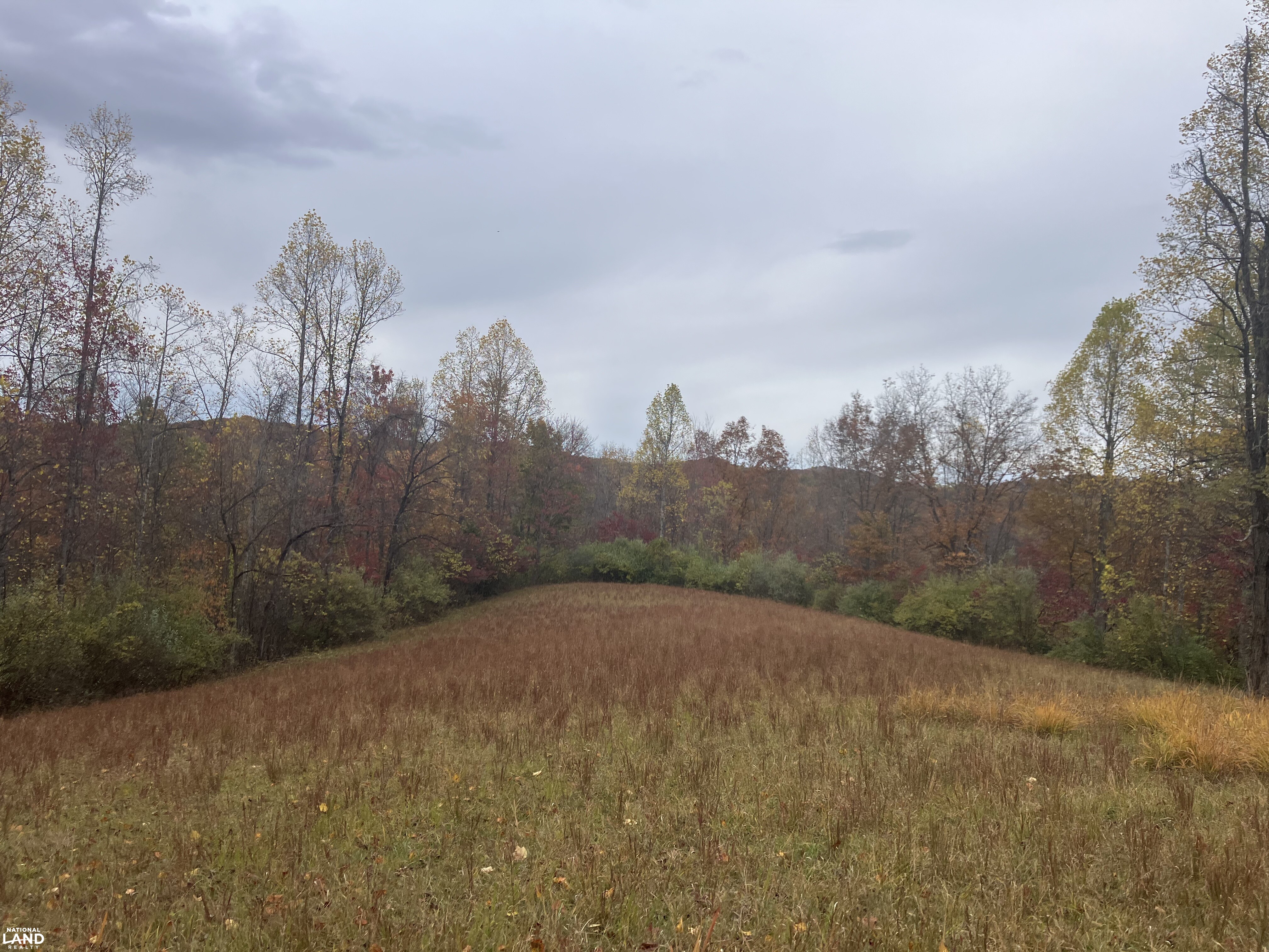Unrestricted Mountain Acreage - Endless Possibilities in Braxton County ...