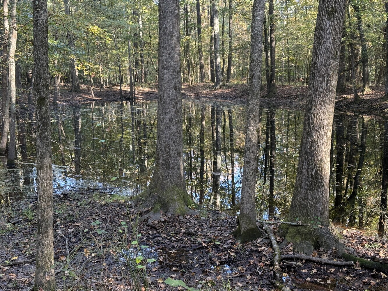 1.8 miles due south down Anding Oil City Rd, Bentonia, MS 39040 (For ...