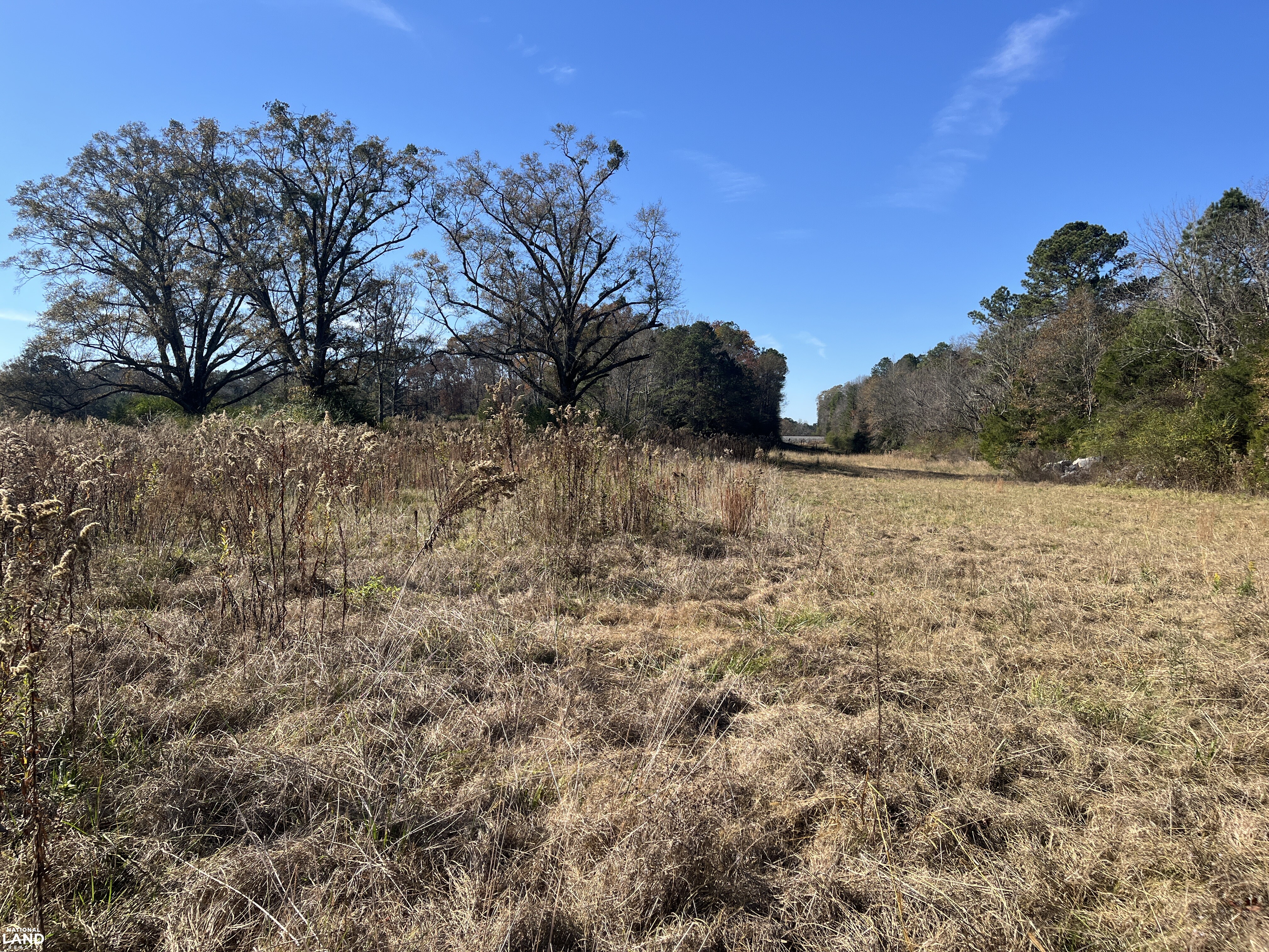 Spring Creek Farms in Shelby County, Alabama (31 Photos) | National ...