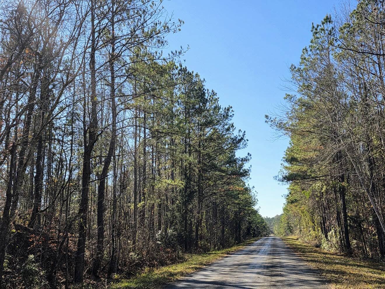 Land for Sale in Perry County, Alabama (23 Photos) | National Land Realty