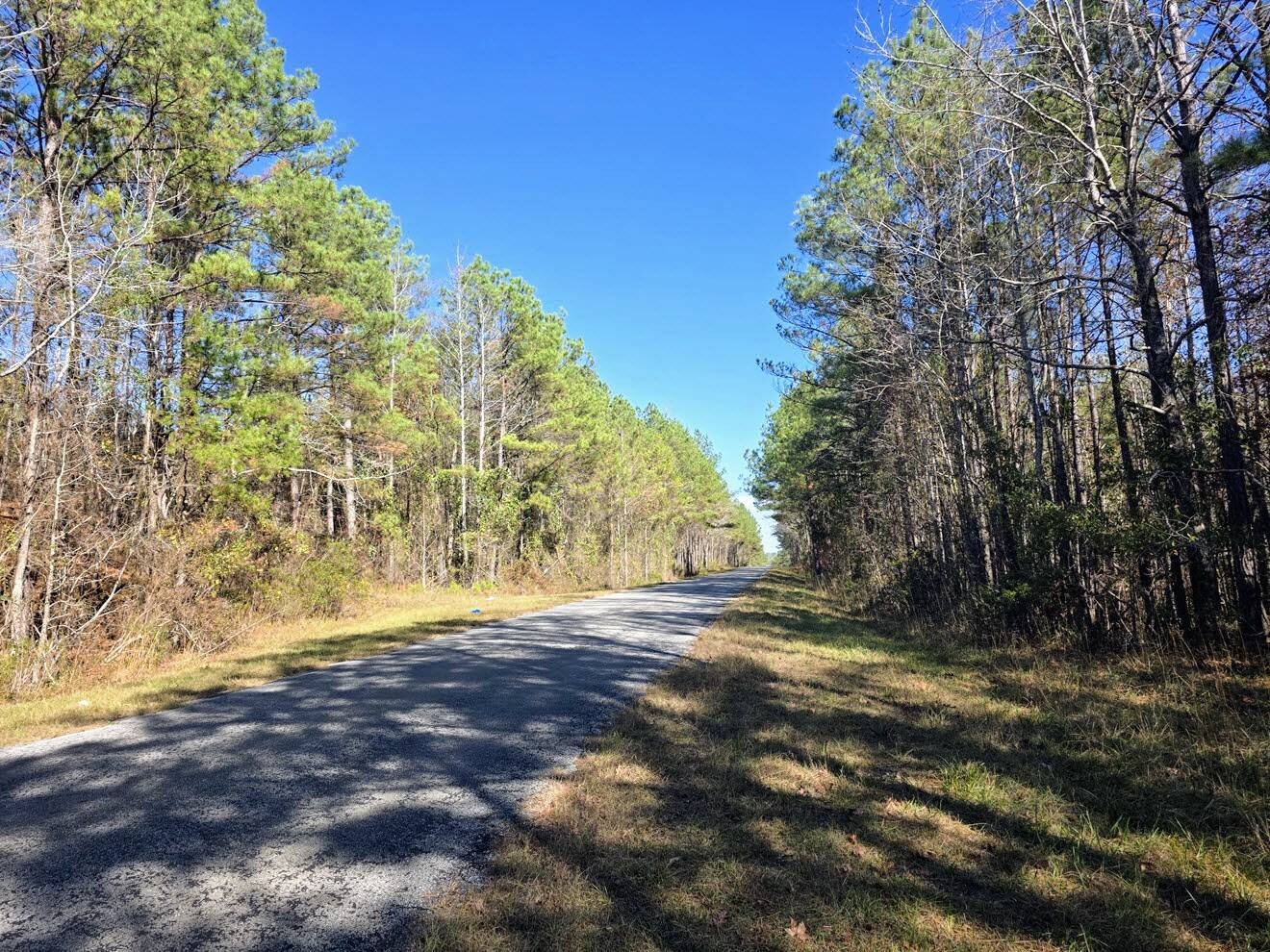 Land for Sale in Perry County, Alabama (23 Photos) | National Land Realty