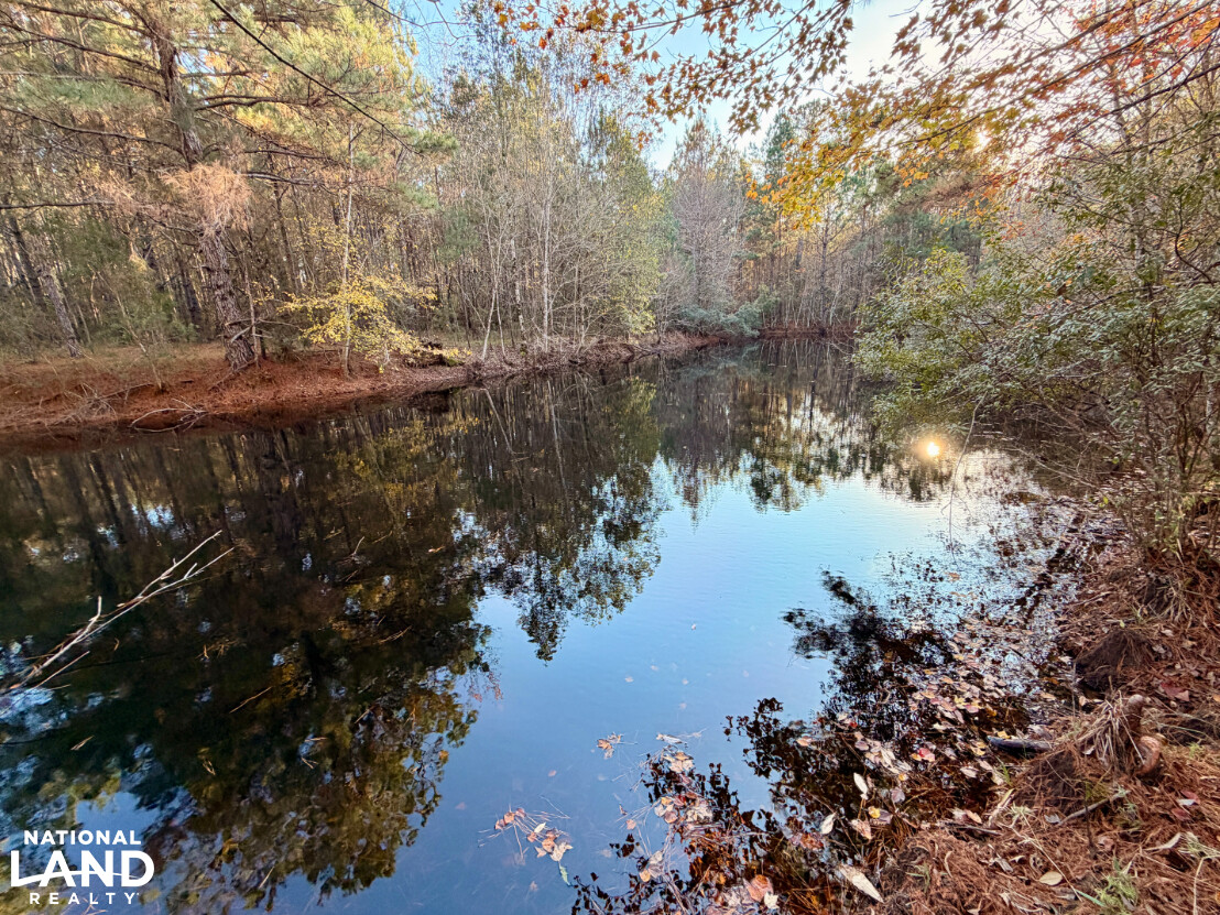 Cabin and Lake Retreat near Bay Minette in Baldwin County, Alabama (28 ...