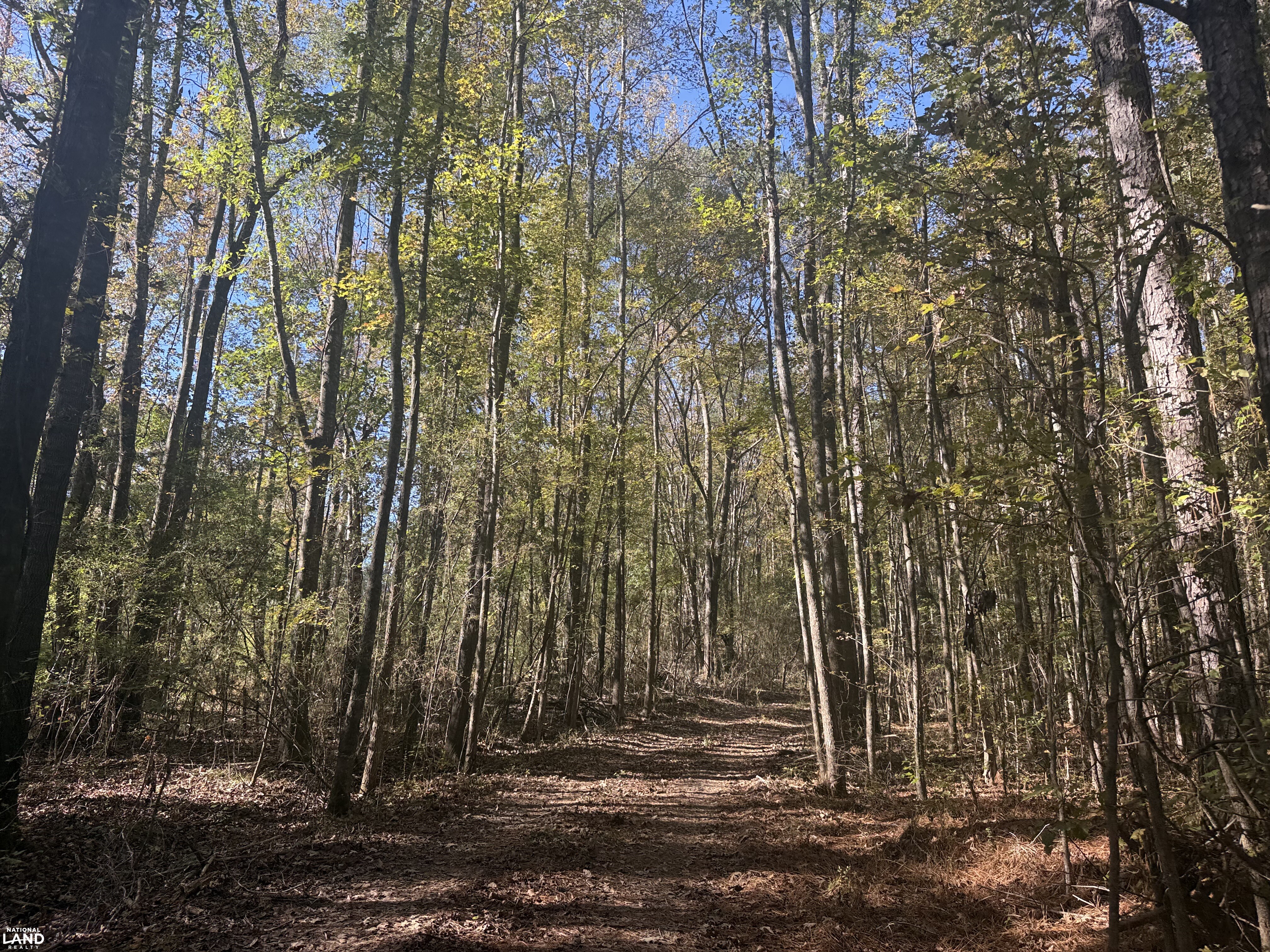 Old Lock 9 Home and Recreational Tract in Tuscaloosa County, Alabama ...