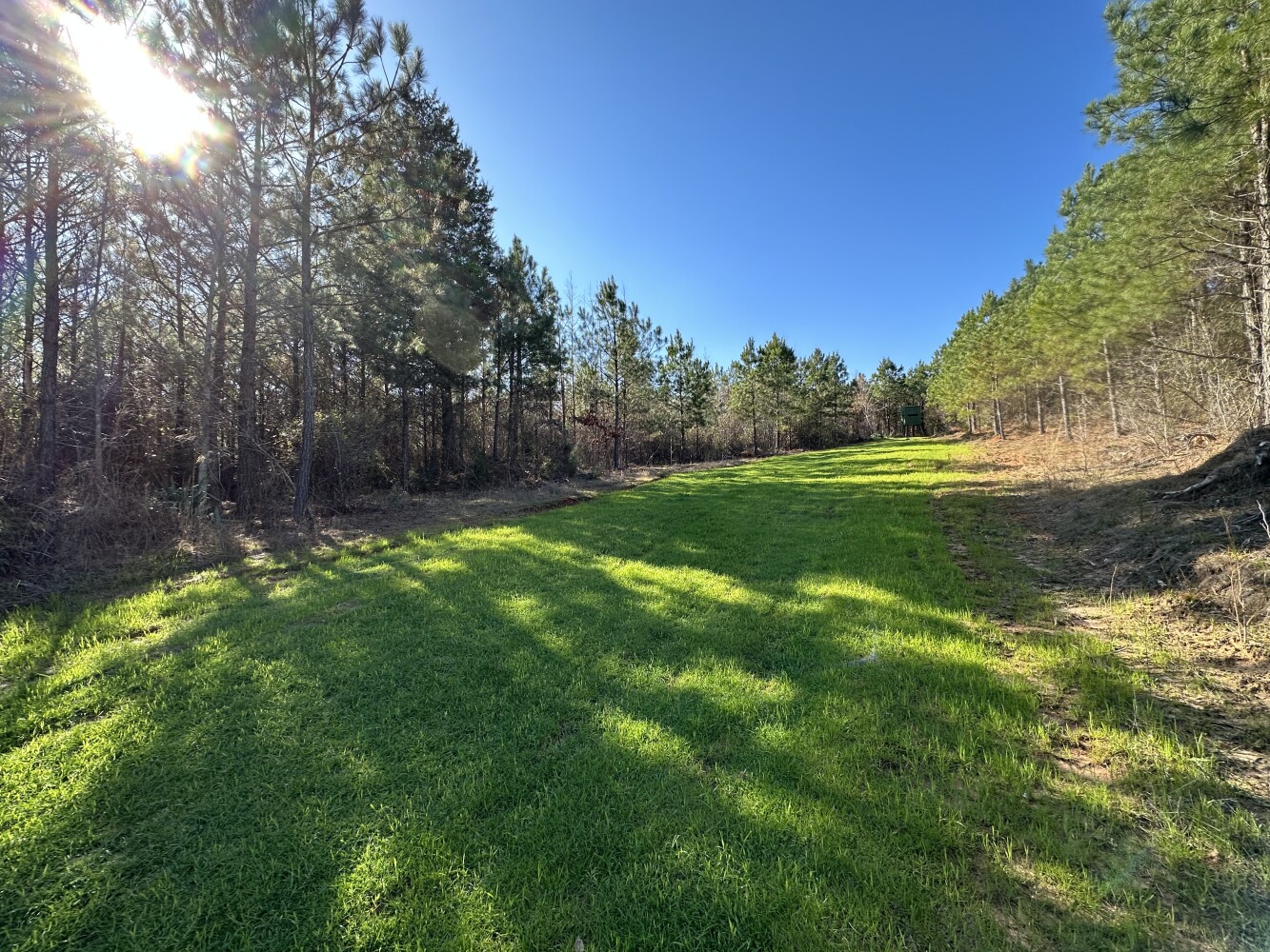 Millport Co Rd 96 Tract in Lamar County, Alabama (30 Photos) | National ...
