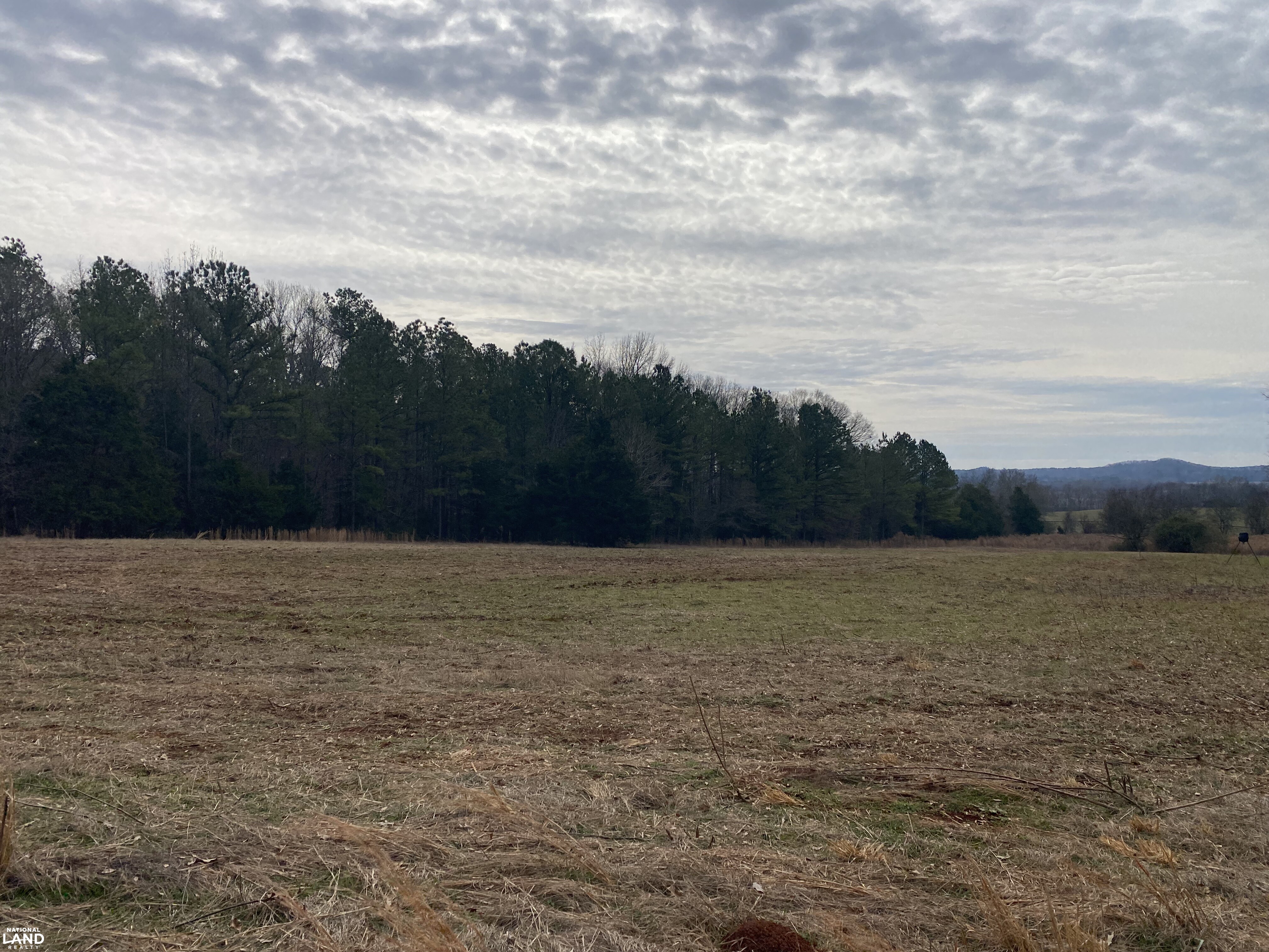 Winterboro Estate Farm in Talladega County, Alabama (64 Photos ...