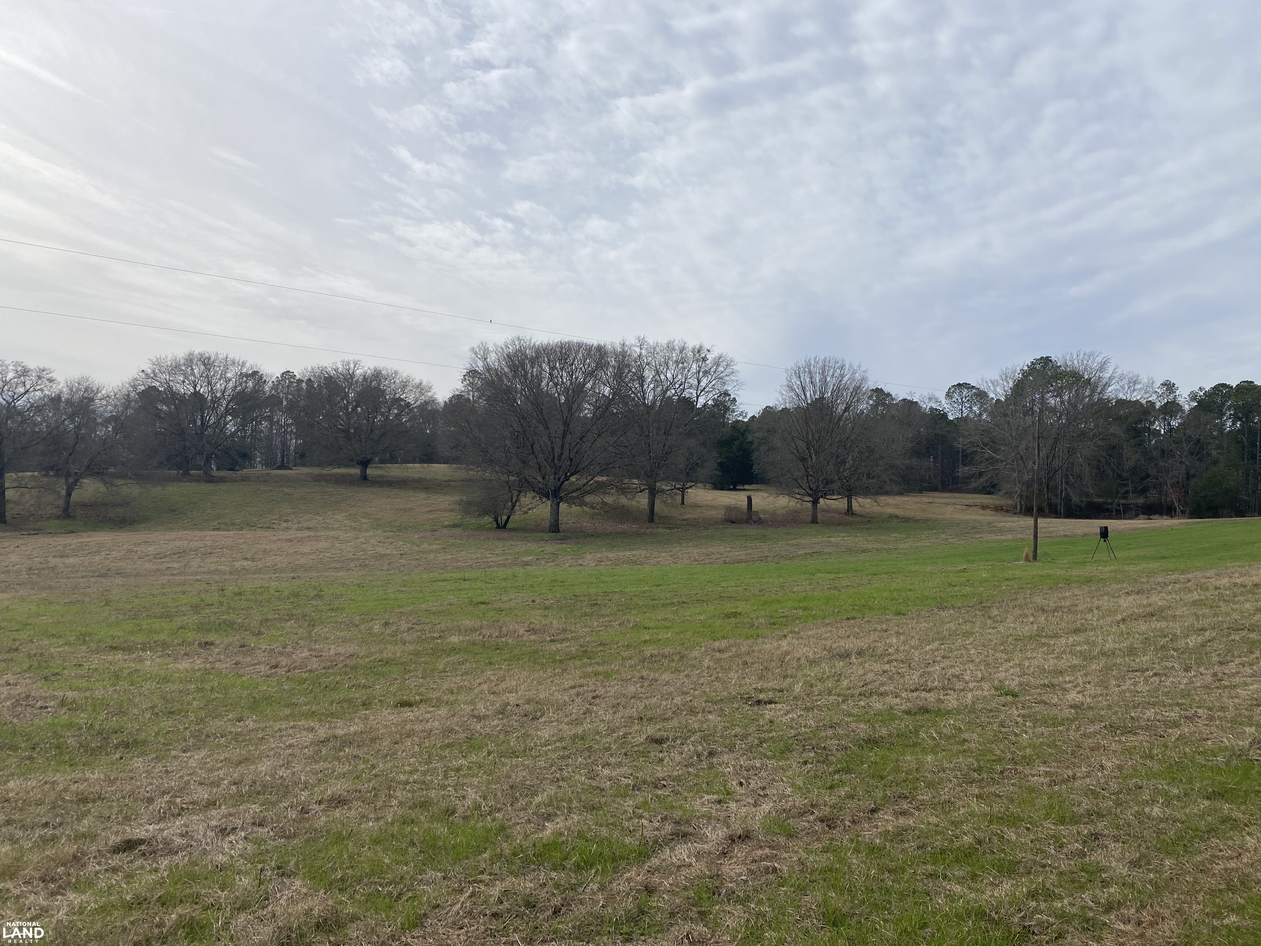 Winterboro Estate Farm in Talladega County, Alabama (64 Photos ...