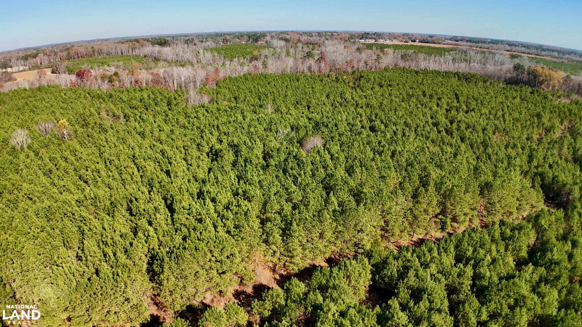 Littleton Deer and Turkey Pine Plantation in Halifax County, North ...