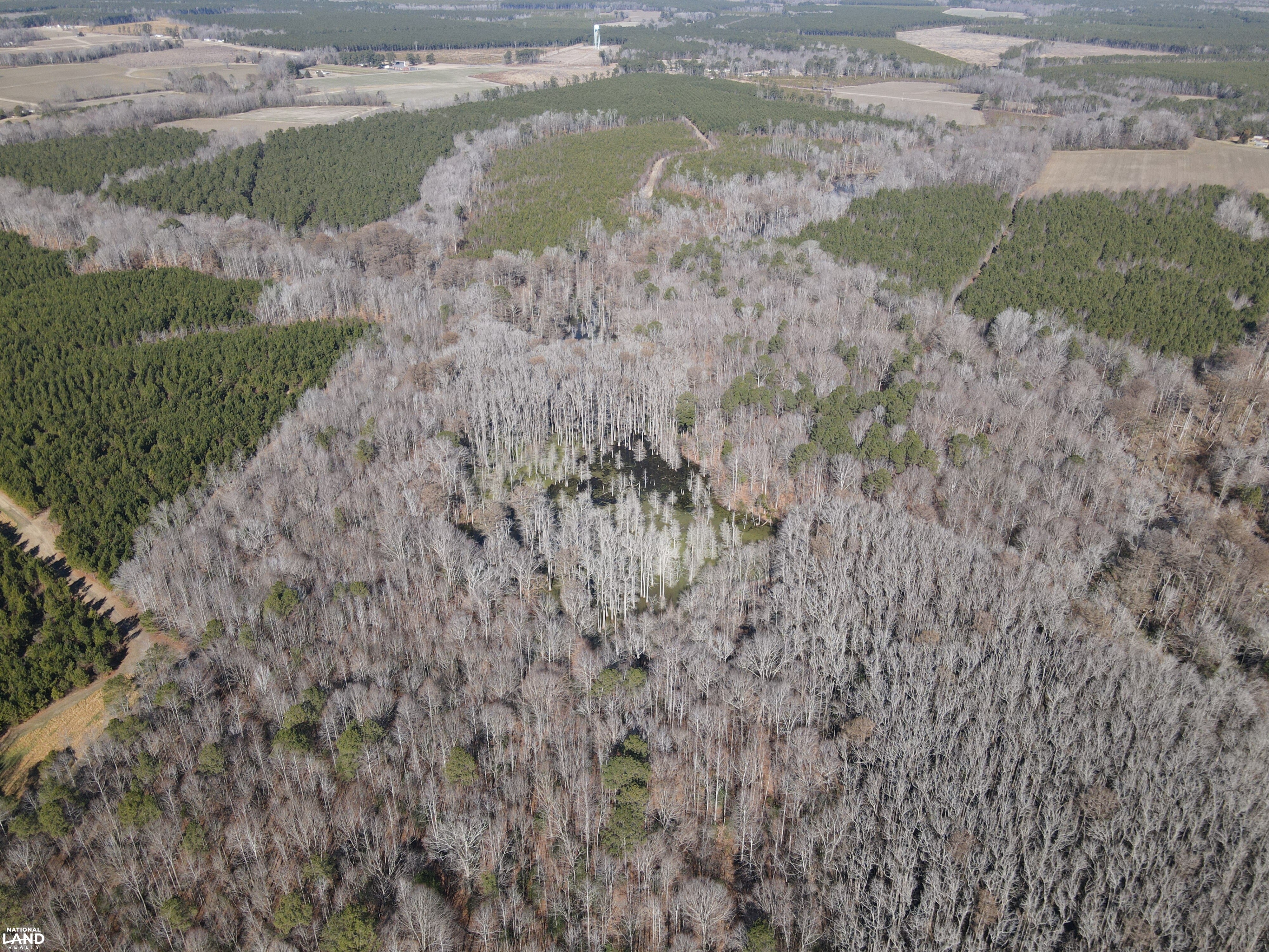 Cashie River Hunting Tract Sans Souci in Bertie County, North Carolina ...
