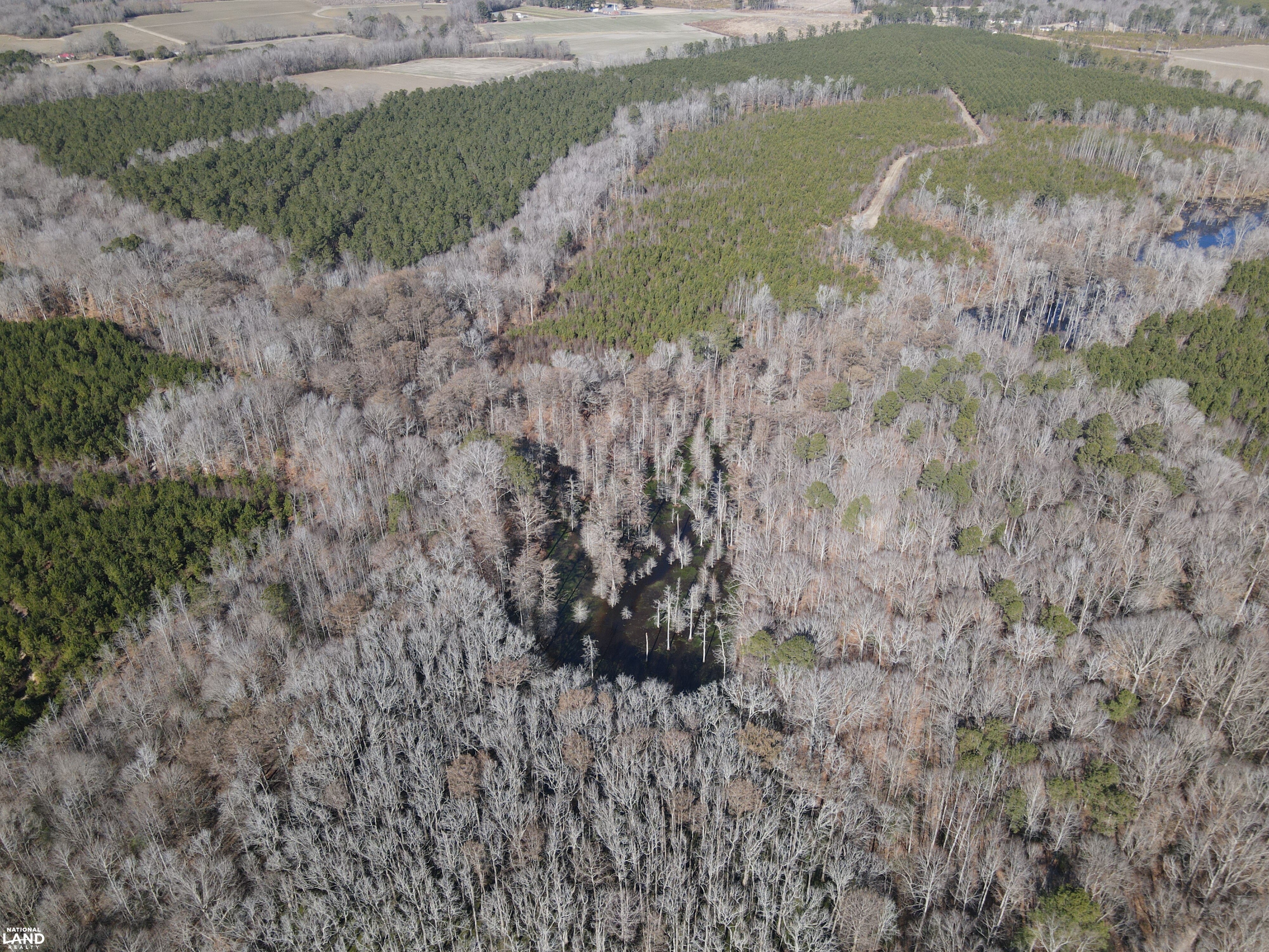 Cashie River Hunting Tract Sans Souci in Bertie County, North Carolina ...